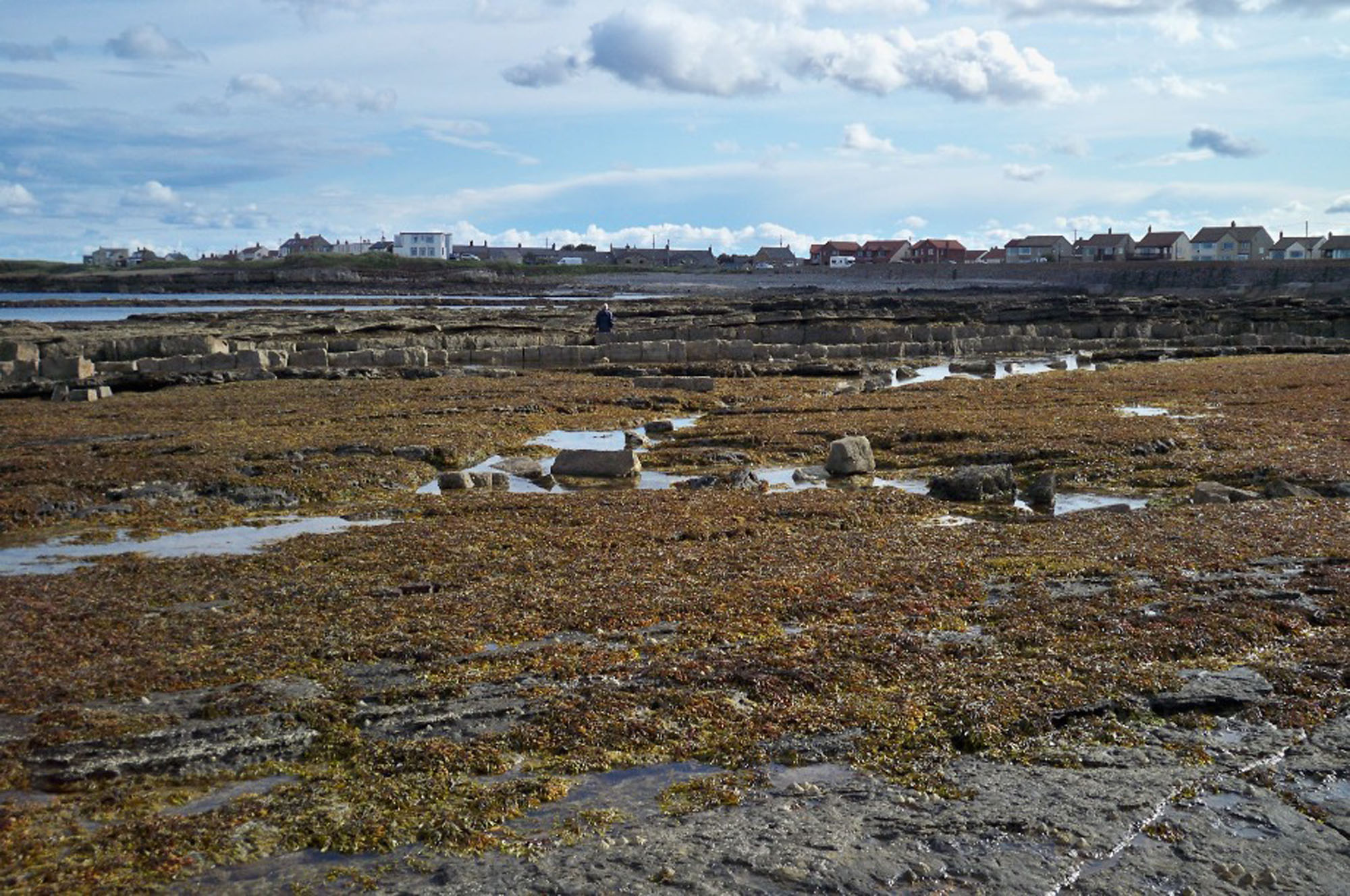 UK Fossil Collecting