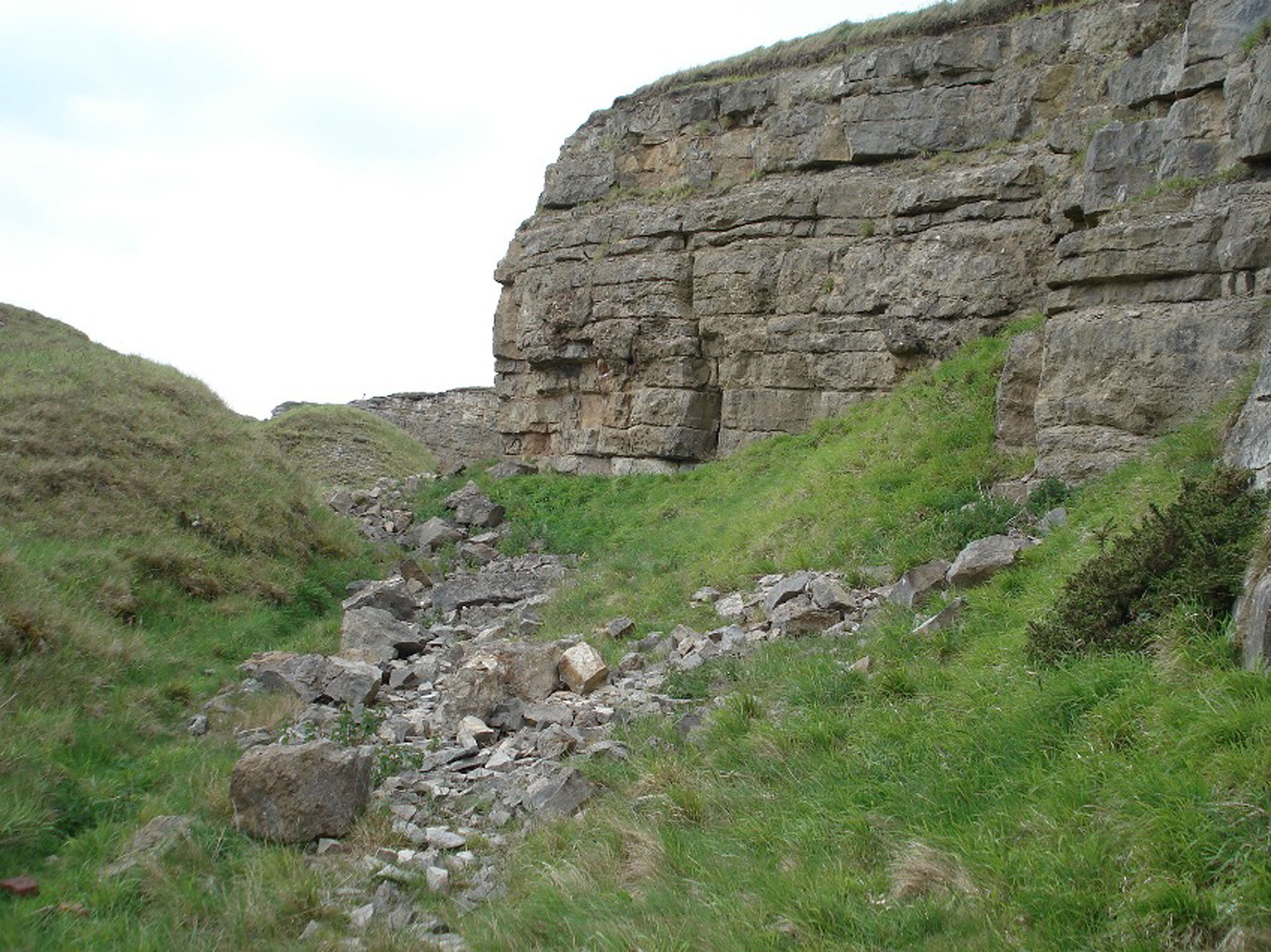 - Fossil Collecting Guide (UK Fossils)