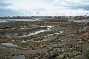 Beadnell – UK Fossil Collecting