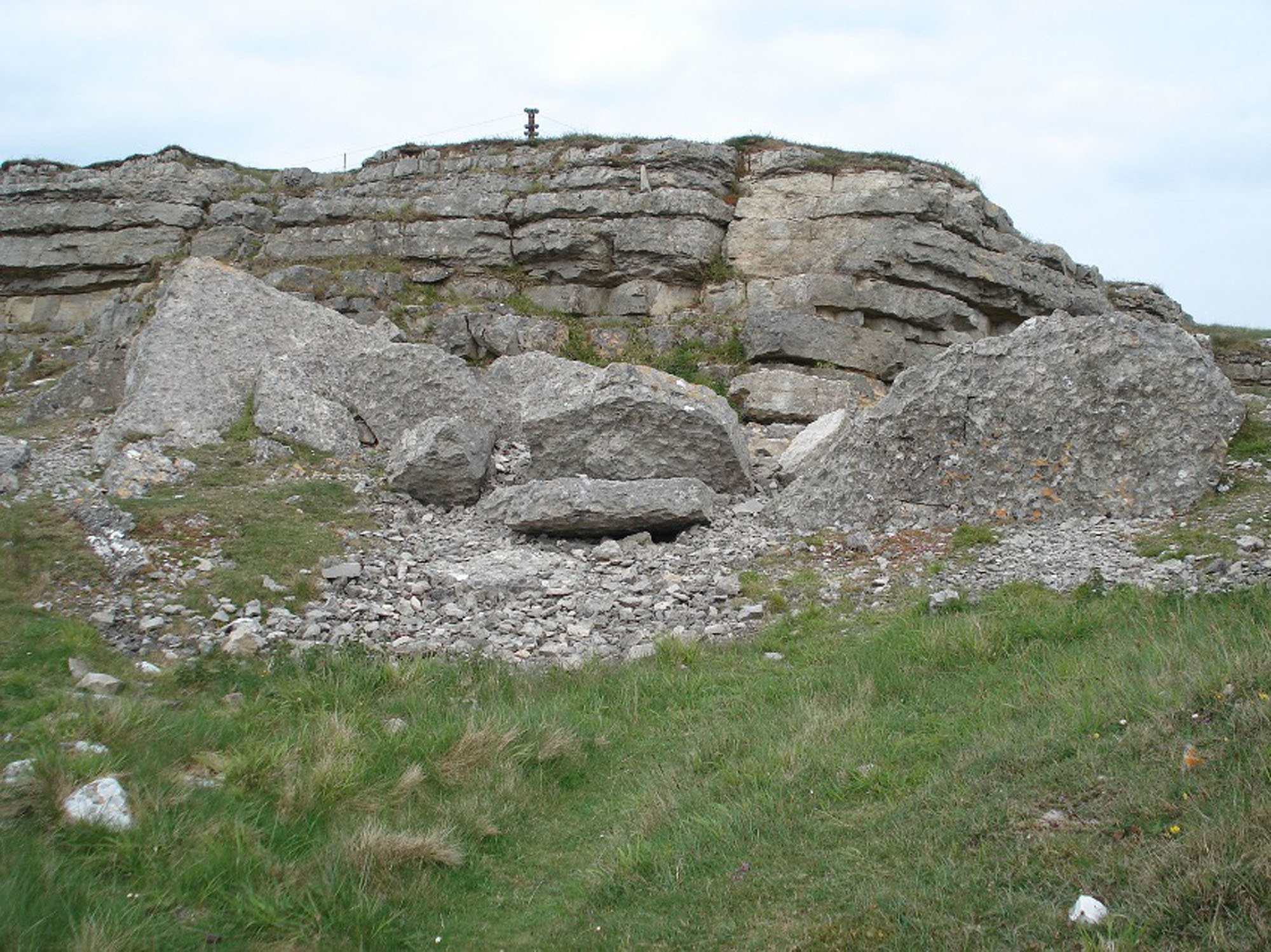 - Fossil Collecting Guide (UK Fossils)