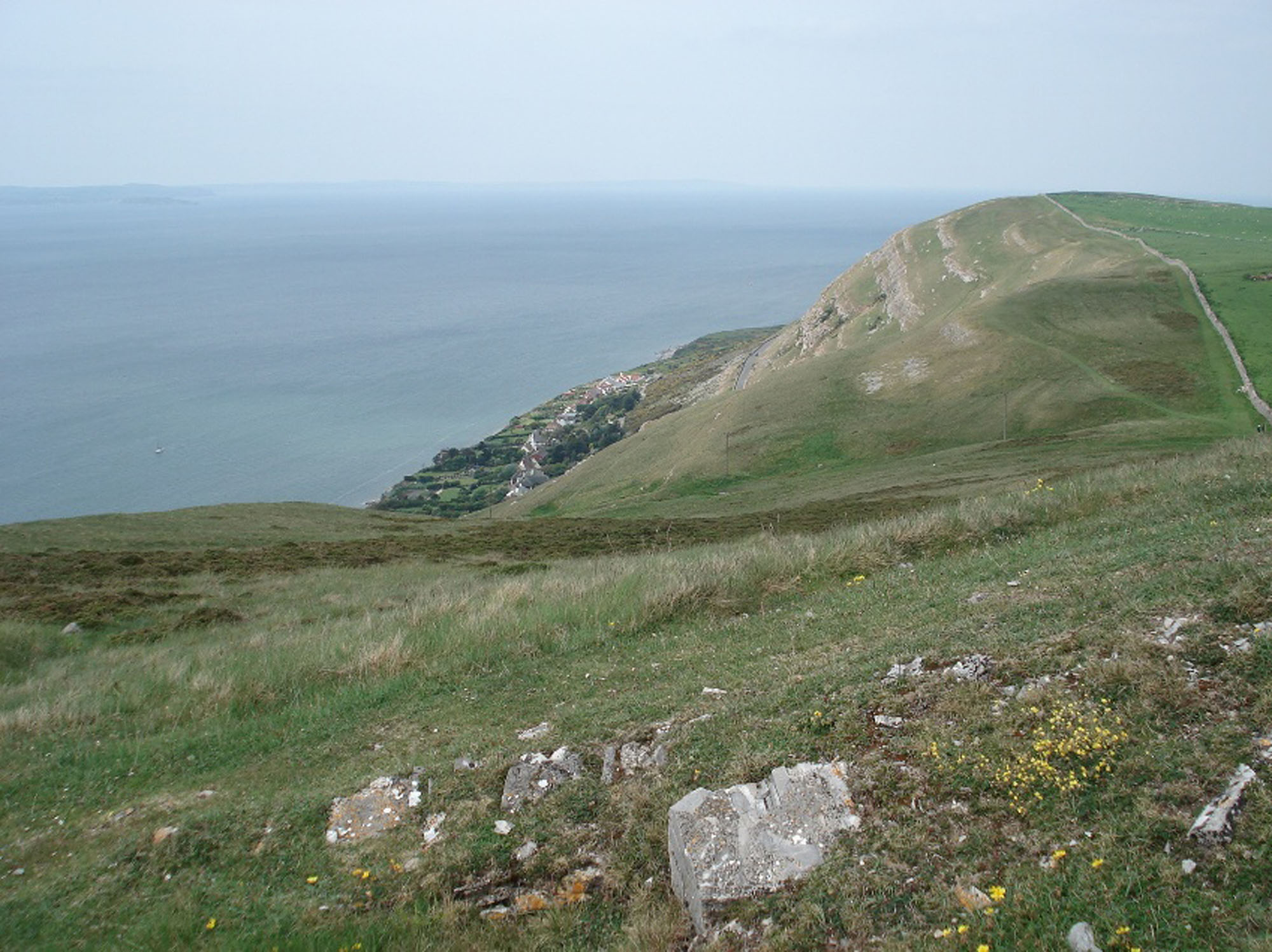 UK Fossil Collecting
