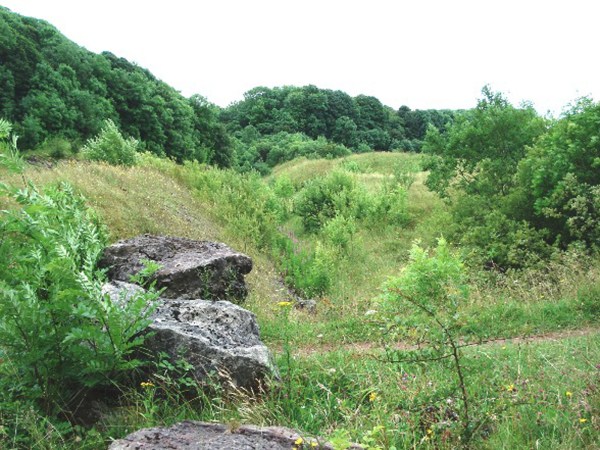 Centre of the quarry – overgrown – UK Fossil Collecting