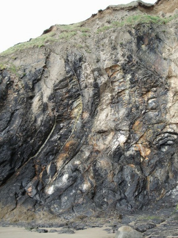 Deformed shale layers – UK Fossil Collecting