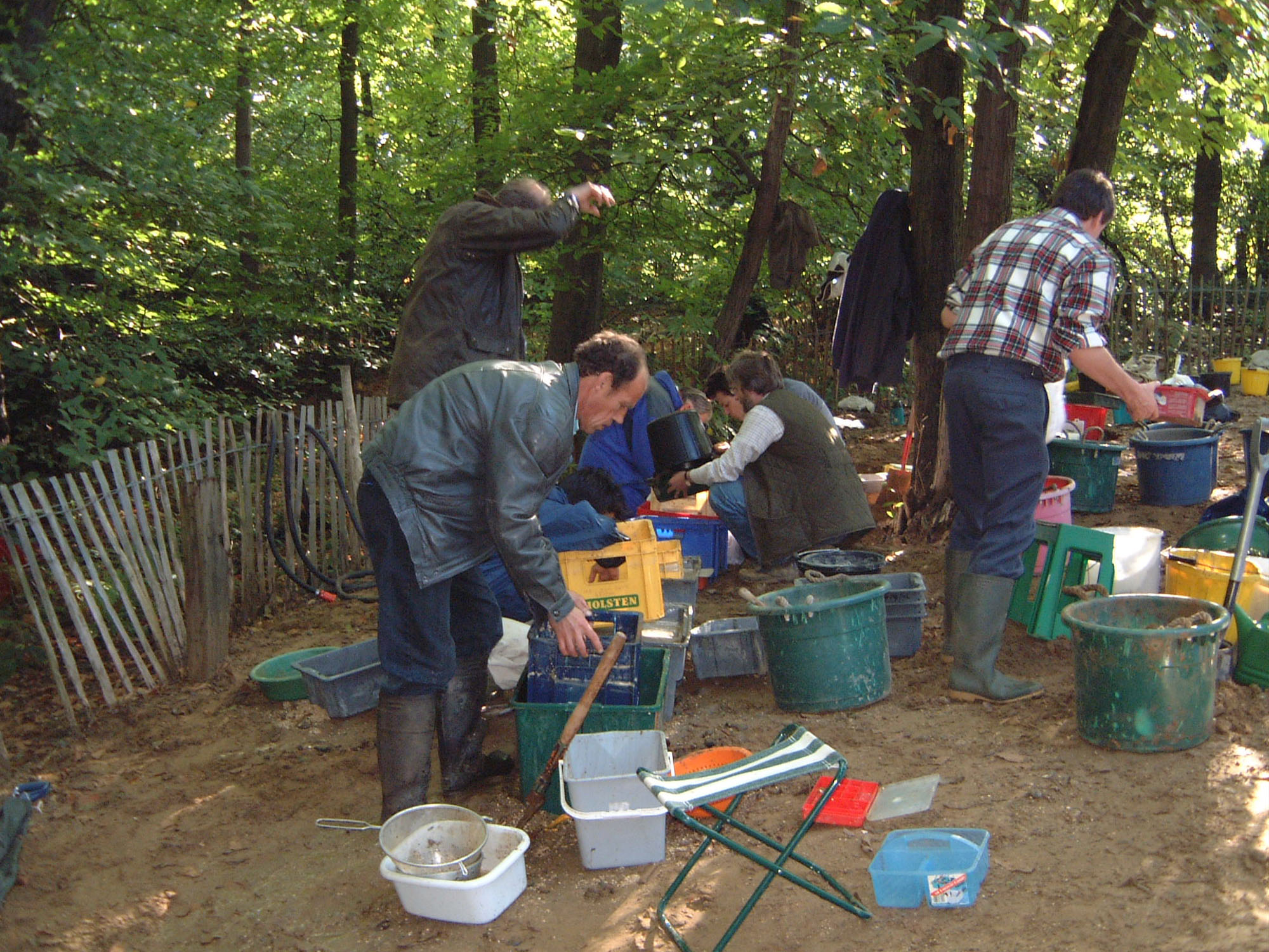 UK Fossil Collecting