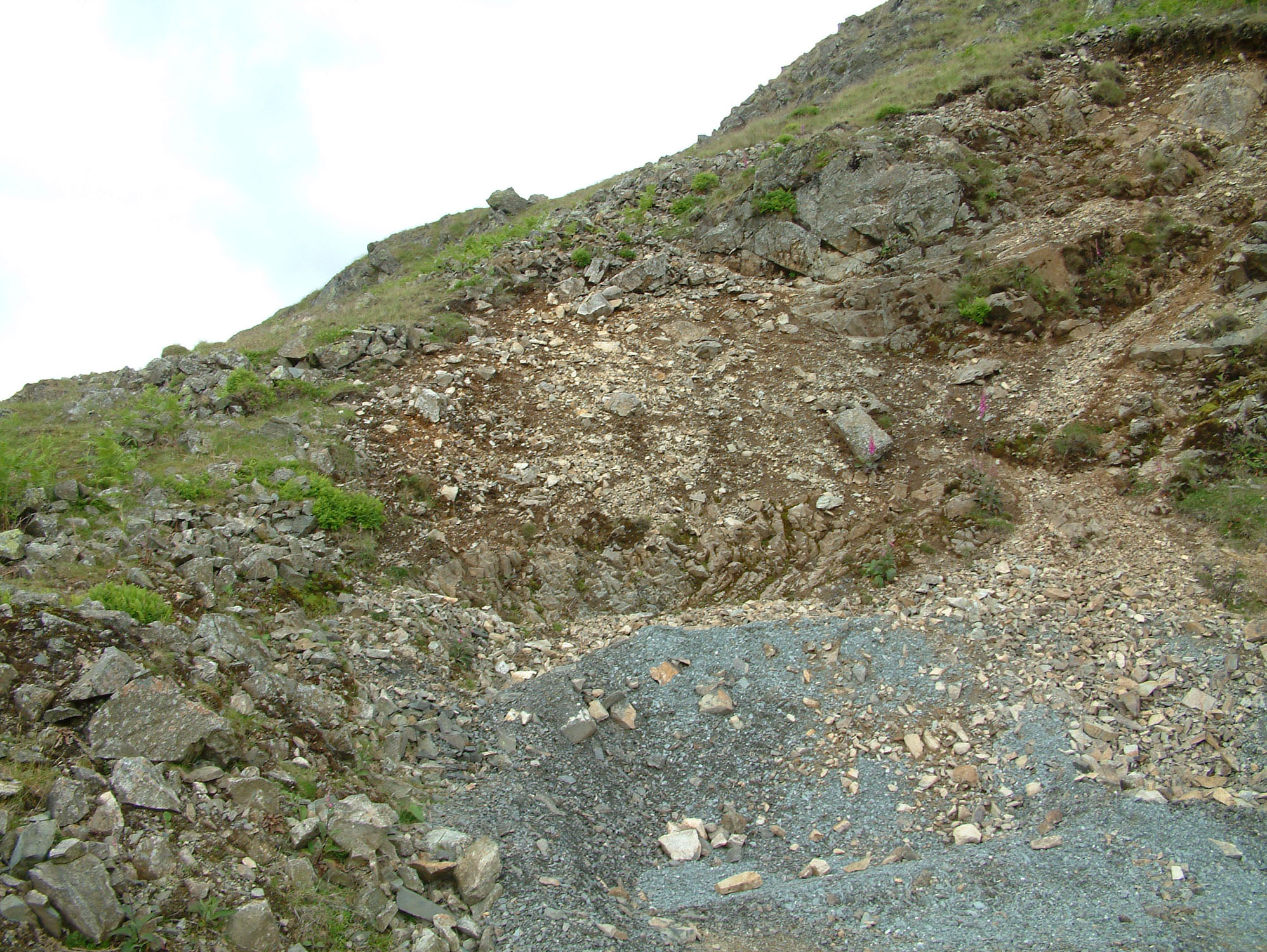 UK Fossil Collecting