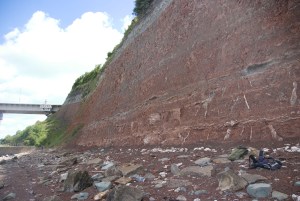 Aust cliff – UK Fossil Collecting