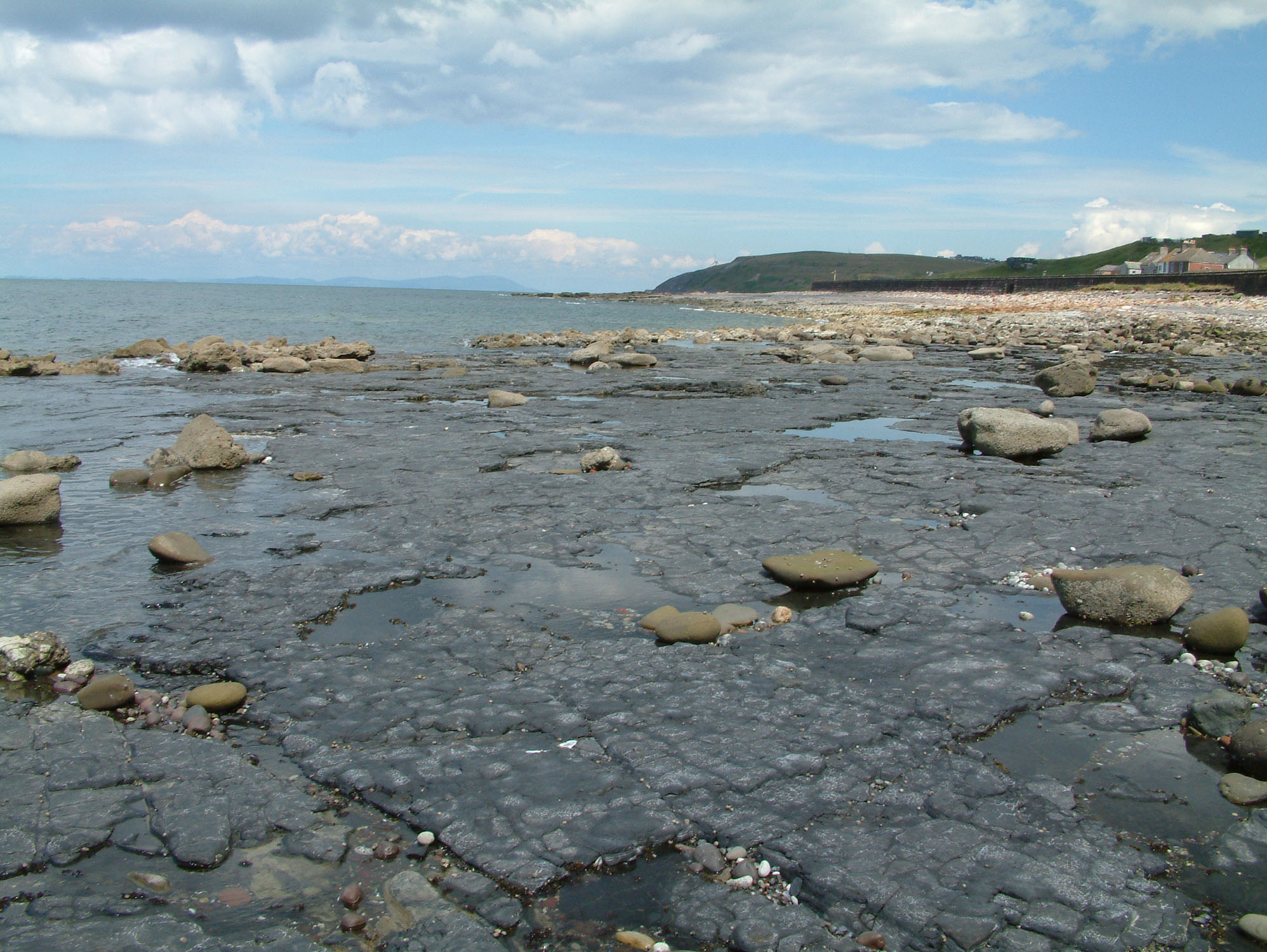 UK Fossil Collecting