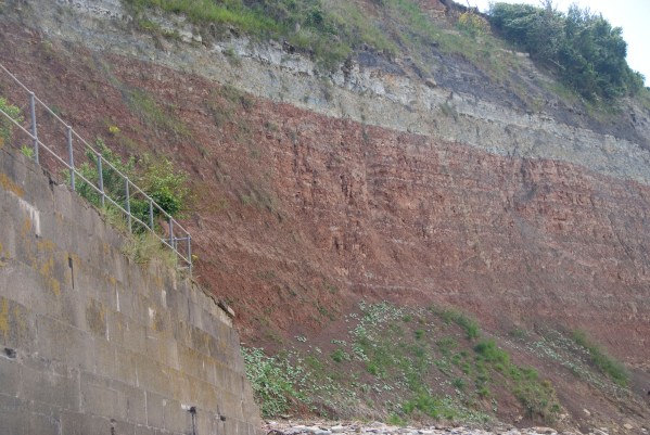 Aust cliff – UK Fossil Collecting