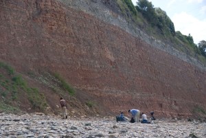 Aust cliff – UK Fossil Collecting