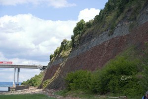 Aust cliff – UK Fossil Collecting