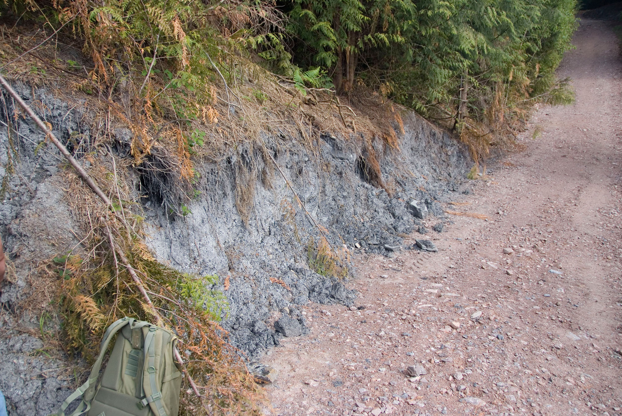 UK Fossil Collecting