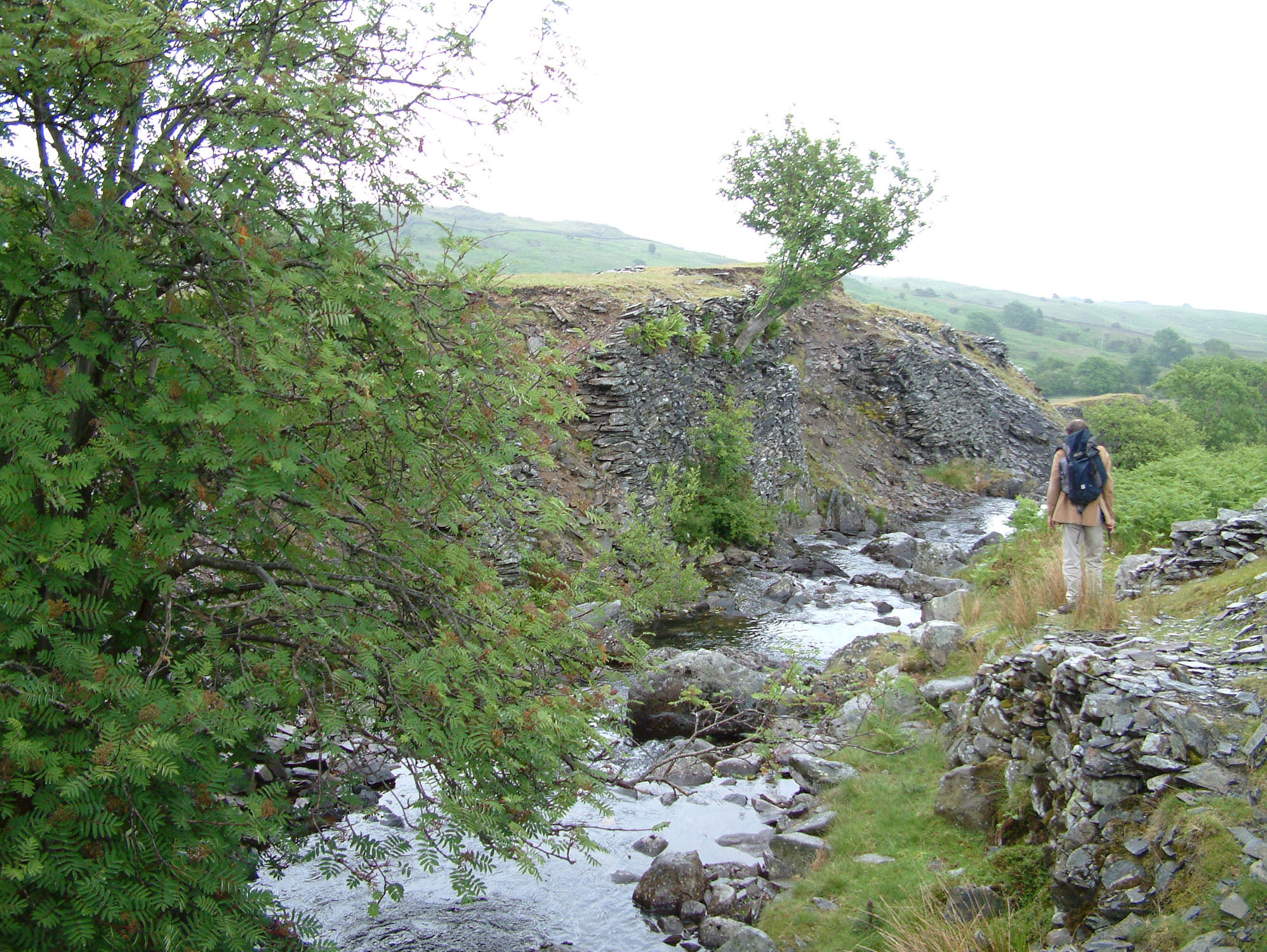 - Fossil Collecting Guide (UK Fossils)