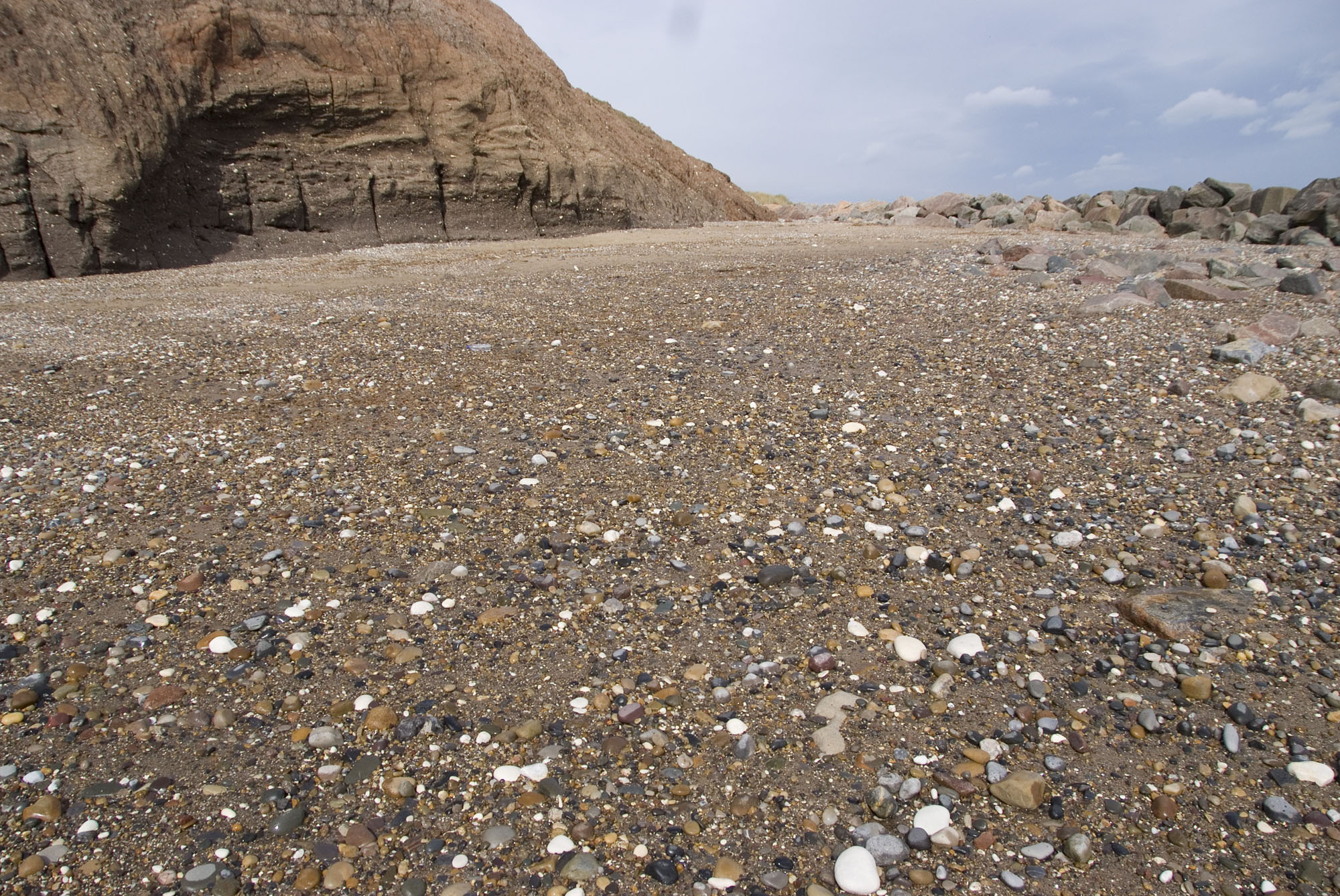 Mappleton – UK Fossil Collecting