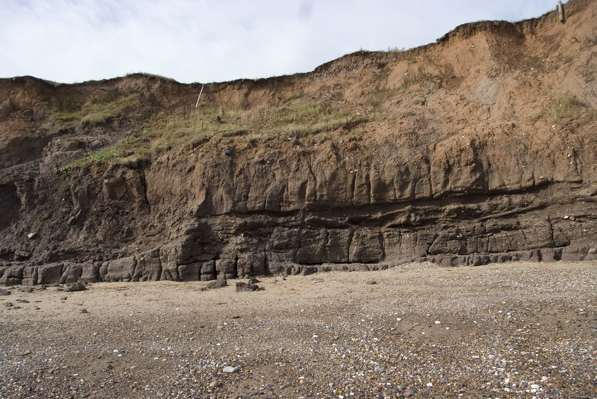 Mappleton – UK Fossil Collecting