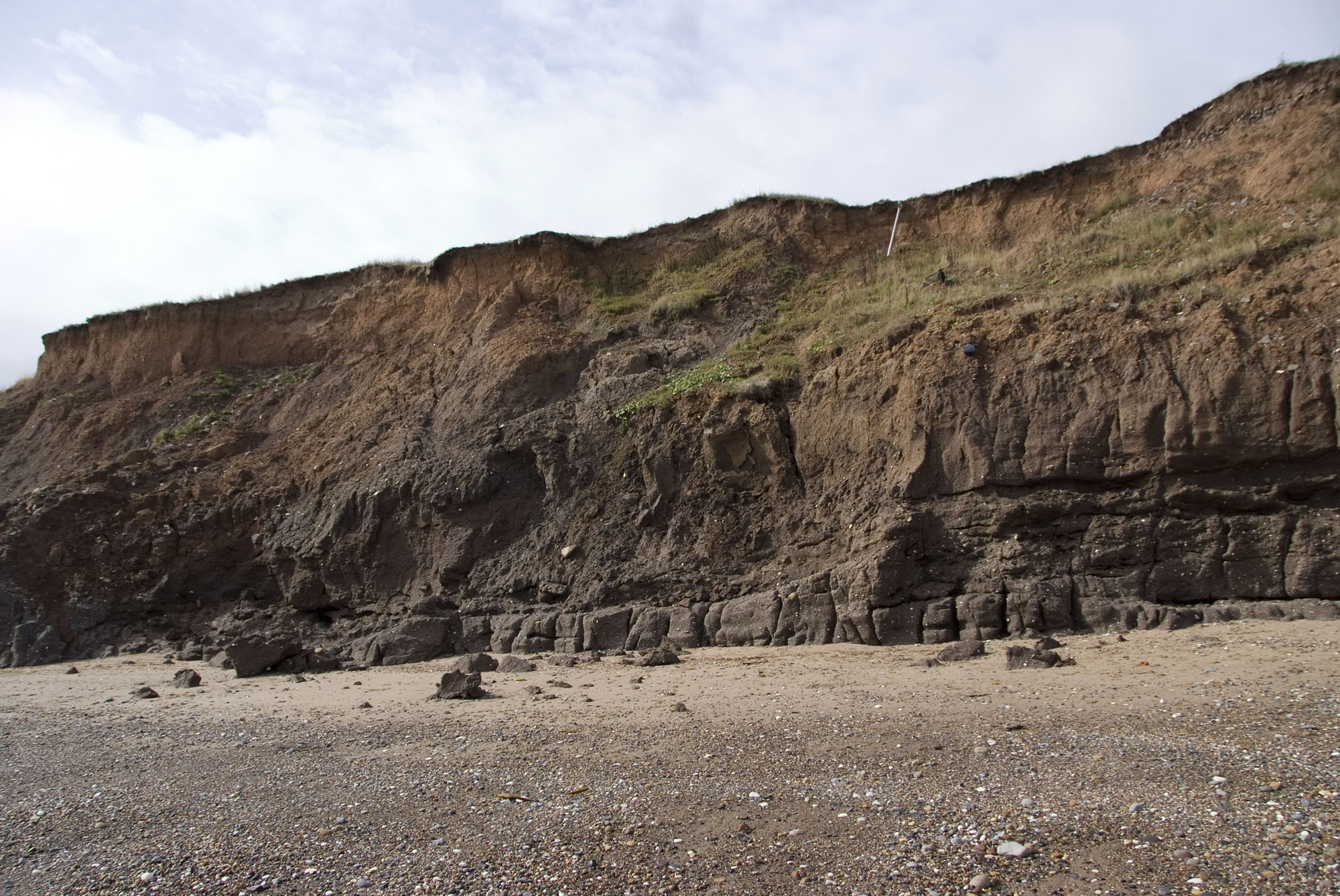 Mappleton – UK Fossil Collecting