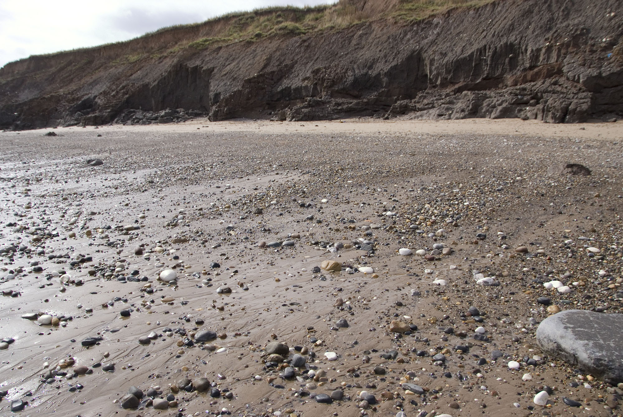 Mappleton – UK Fossil Collecting