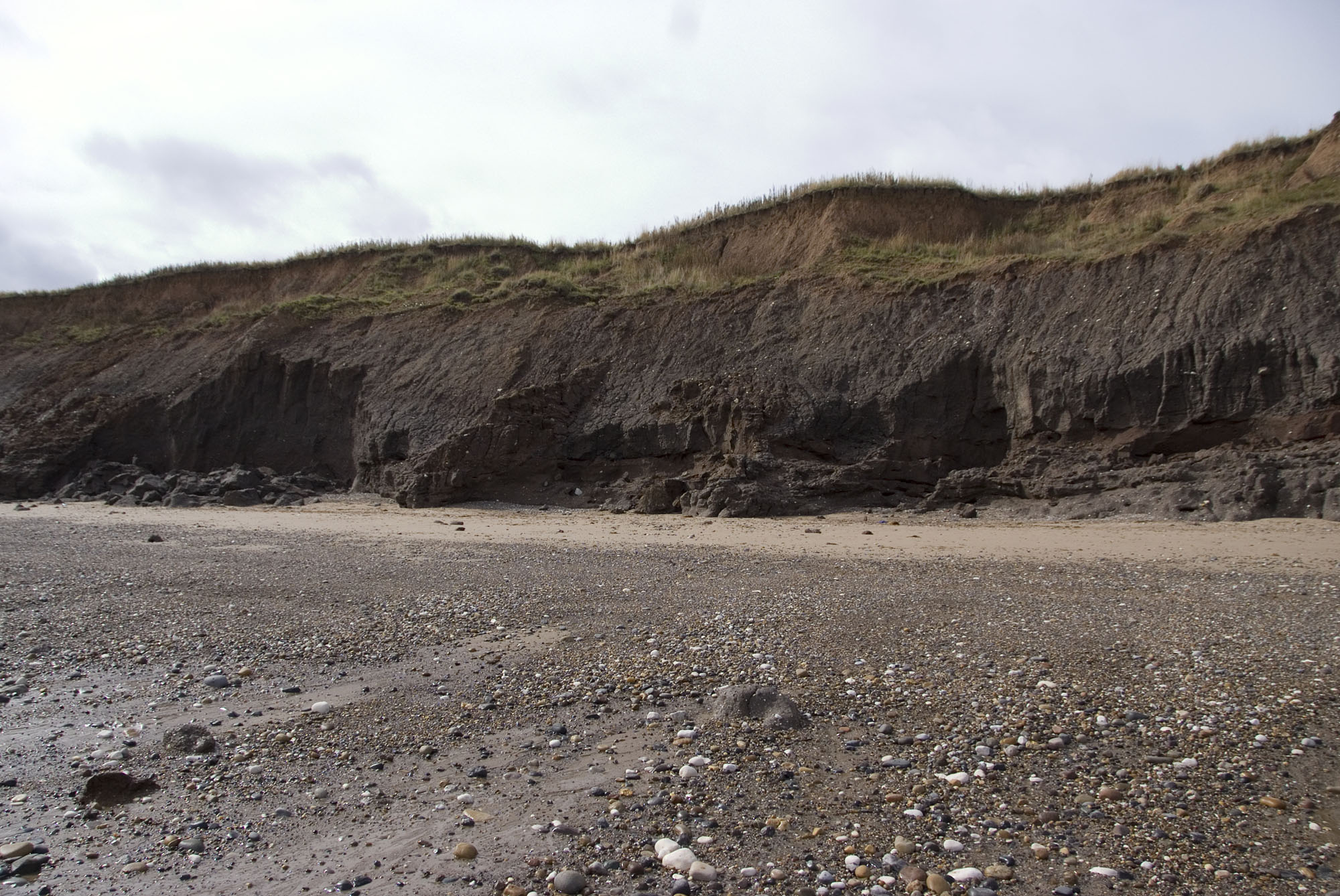 Mappleton – UK Fossil Collecting