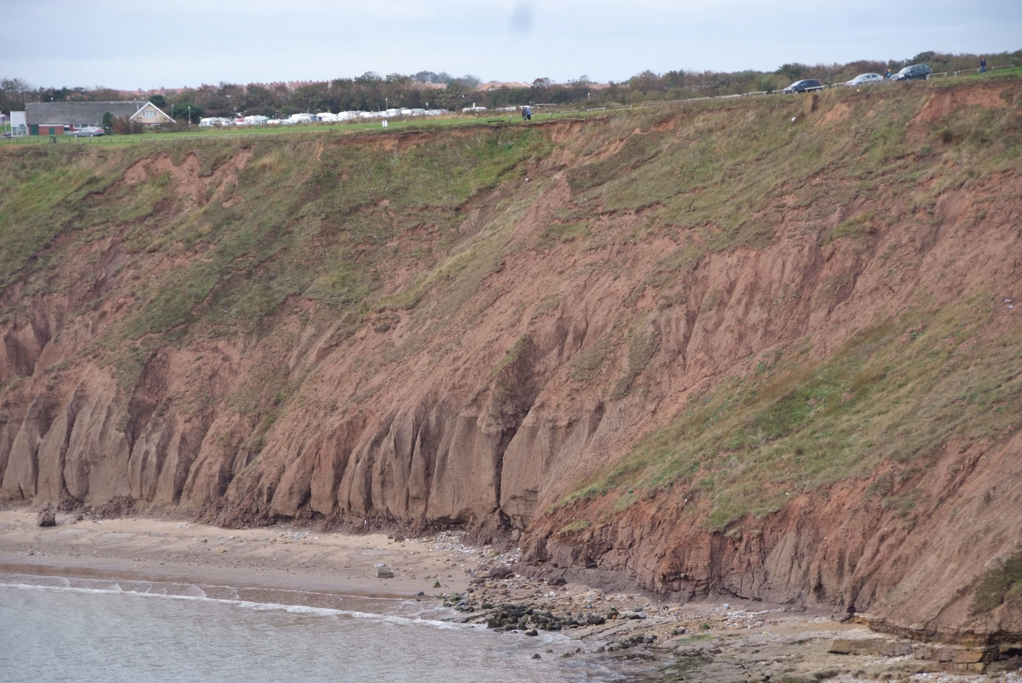UK Fossil Collecting