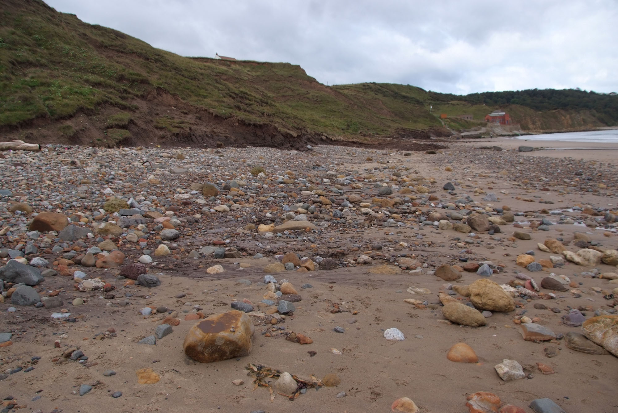 UK Fossil Collecting