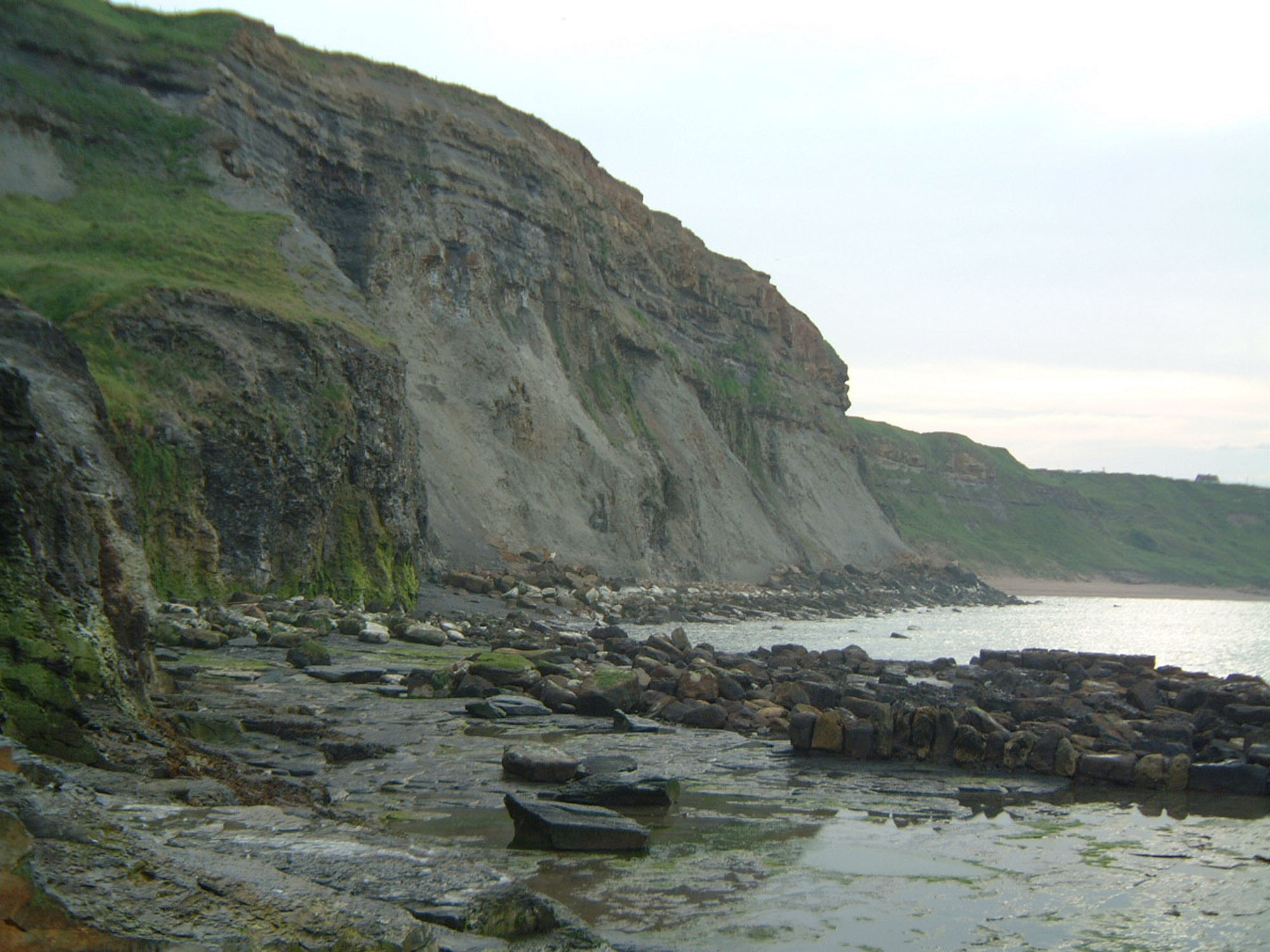 Saltwick Bay – UK Fossil Collecting