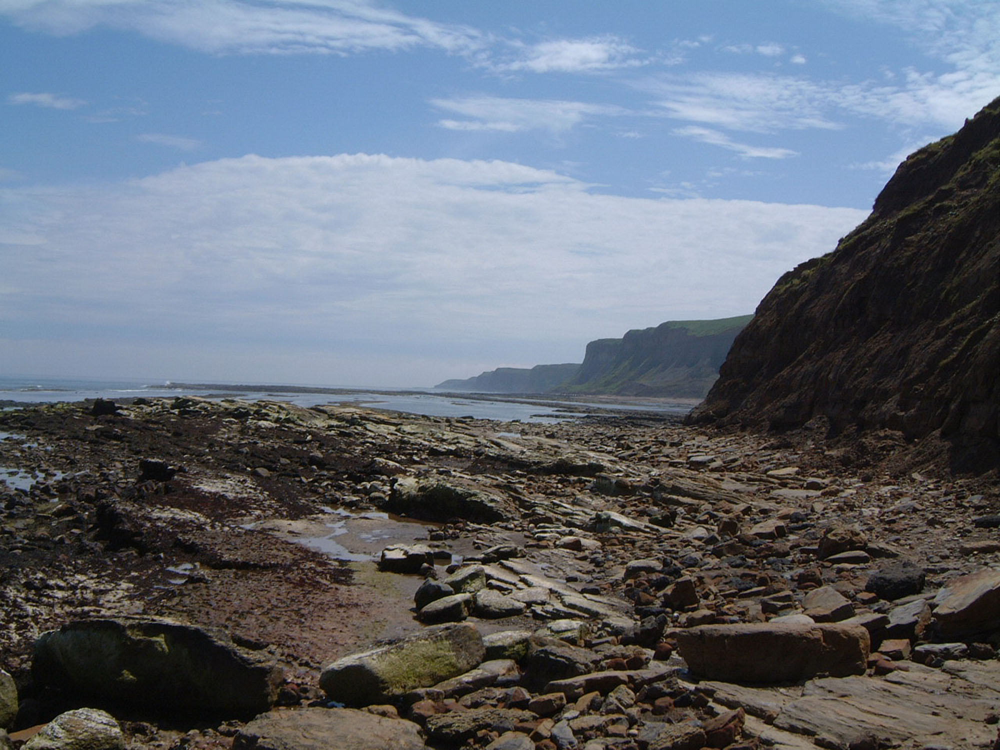 UK Fossil Collecting