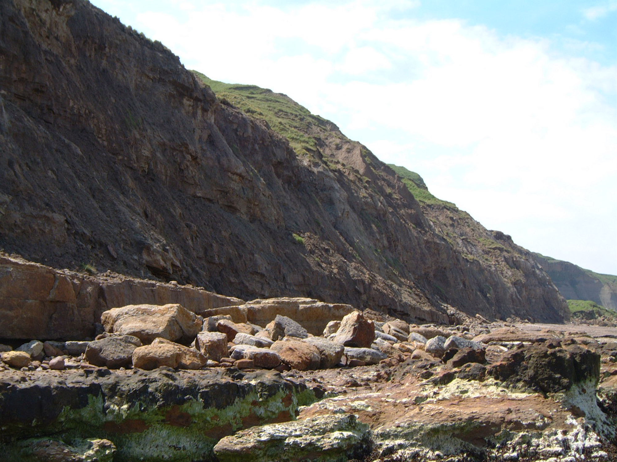 UK Fossil Collecting