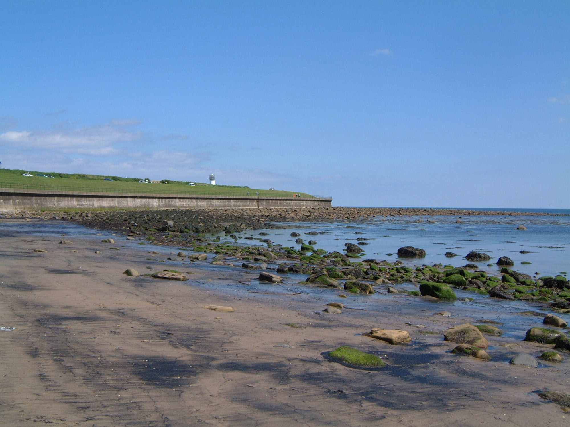 - Fossil Collecting Guide (UK Fossils)