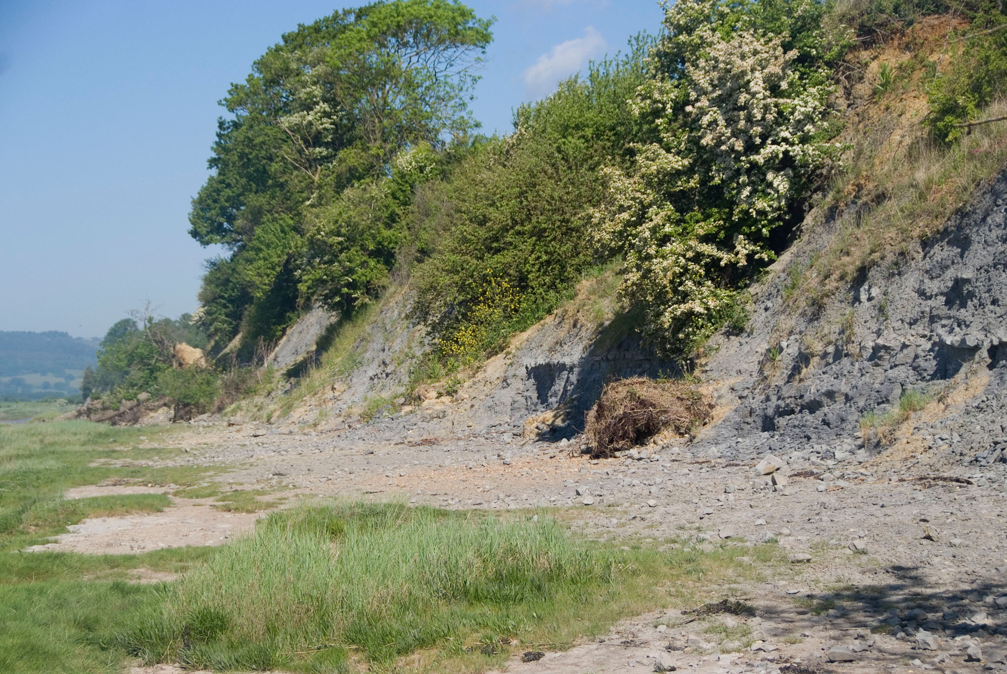 UK Fossil Collecting