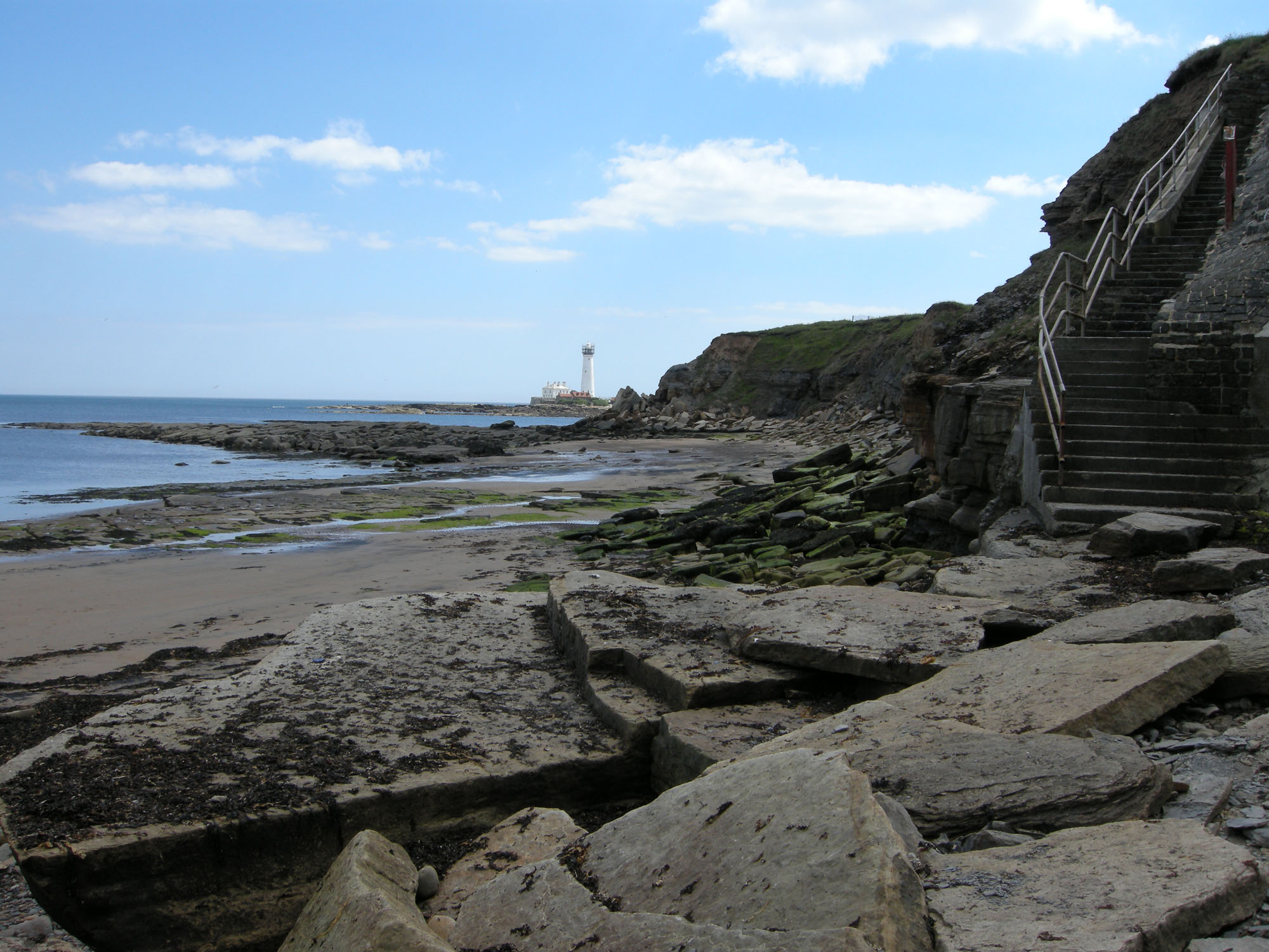 - Fossil Collecting Guide (UK Fossils)