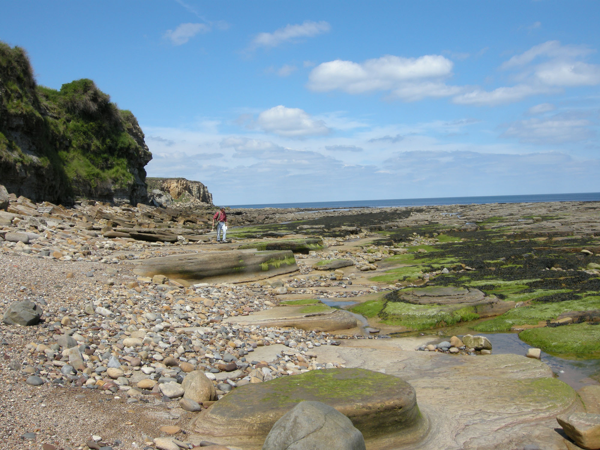 - Fossil Collecting Guide (UK Fossils)