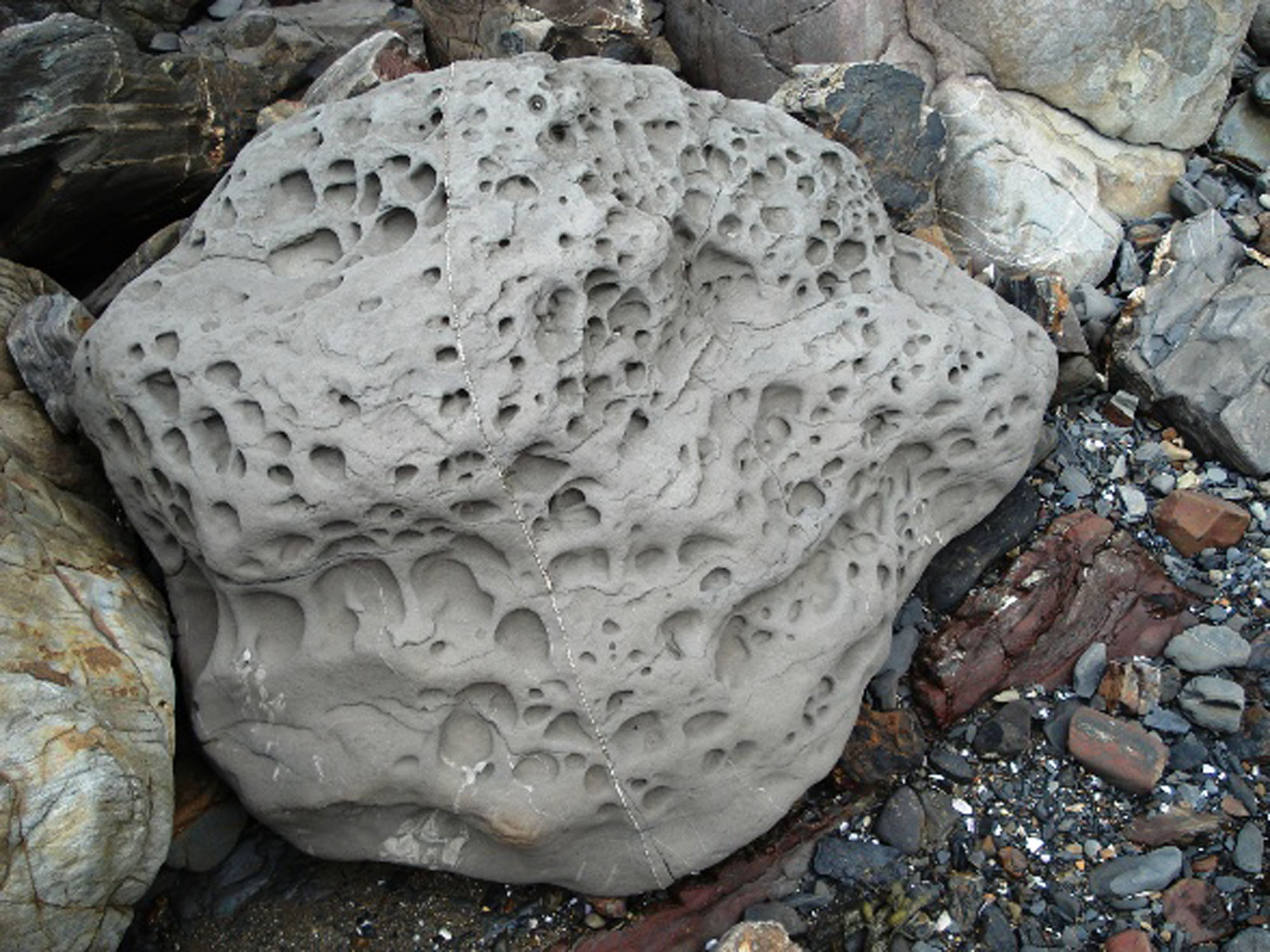 Interesting rock – UK Fossil Collecting