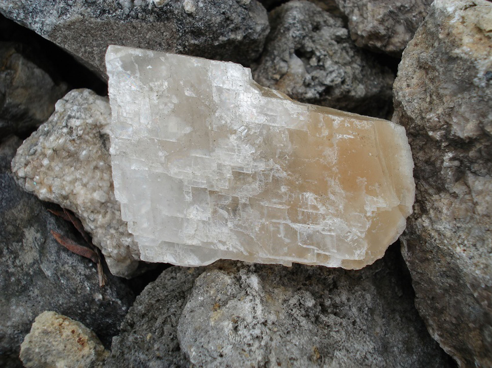 Large crystal – UK Fossil Collecting