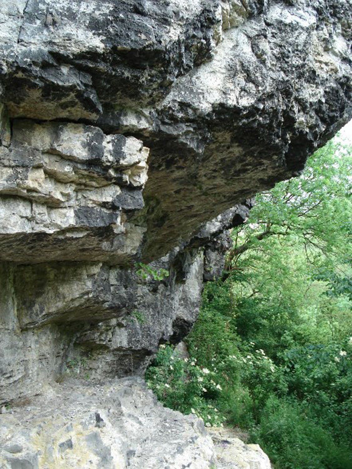 Large rock outcrop as seen from the path – UK Fossil Collecting