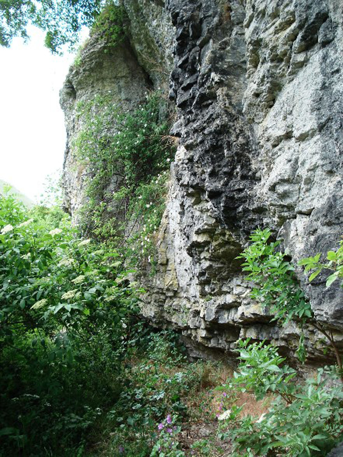 Large rock outcrop as seen from the path – UK Fossil Collecting