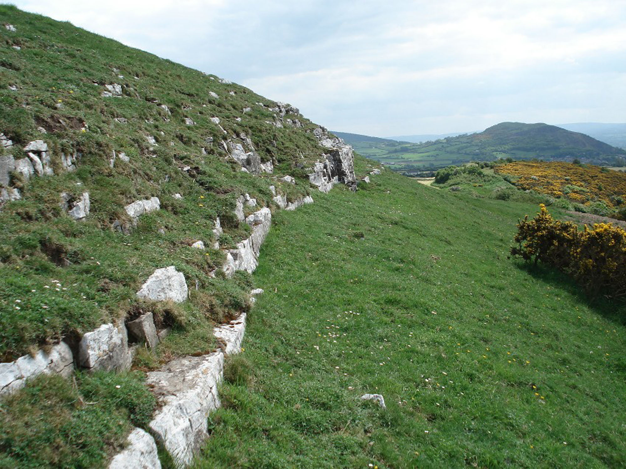 Limestone outcrop – UK Fossil Collecting
