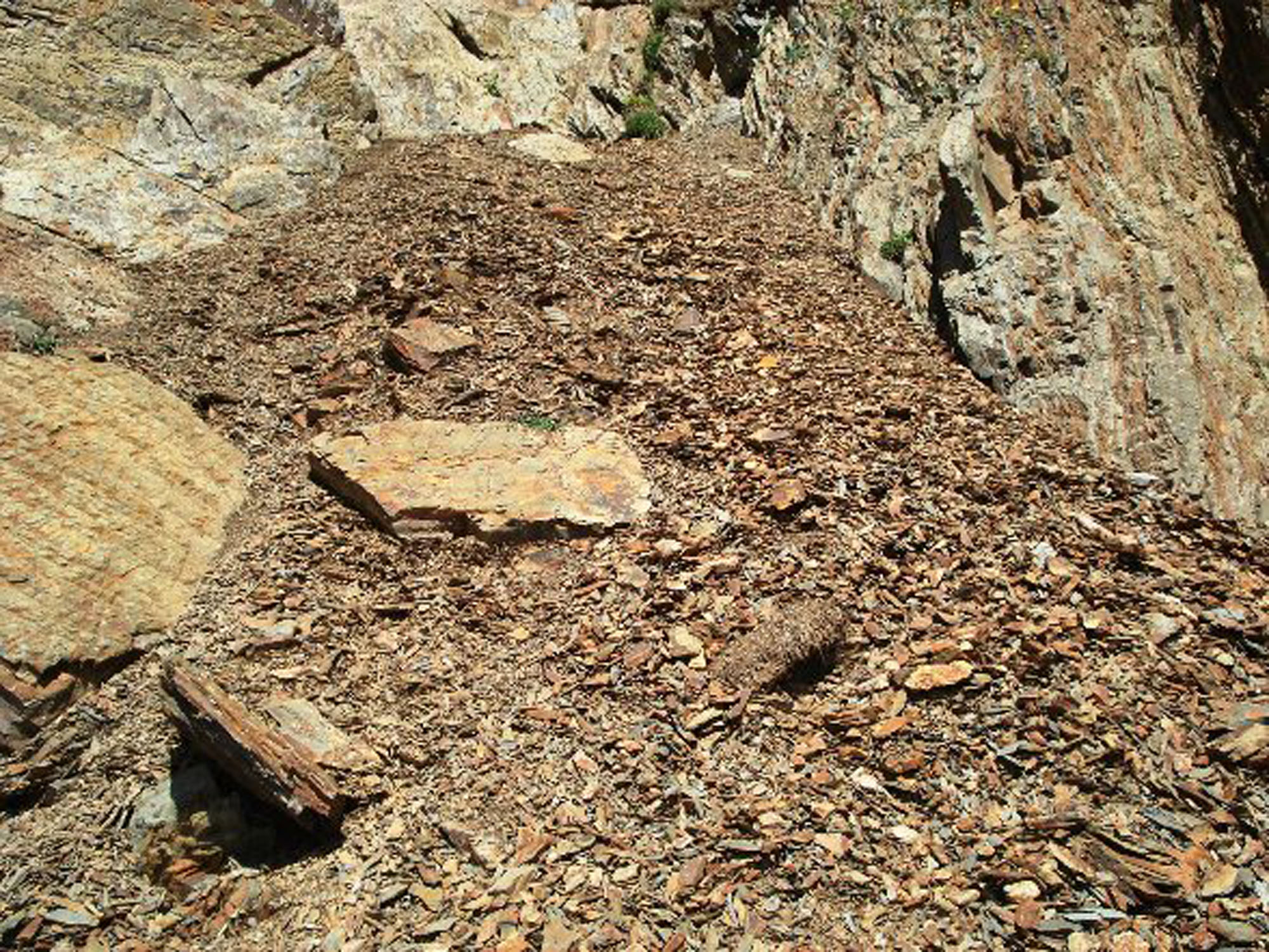 Large blocks of shale – UK Fossil Collecting