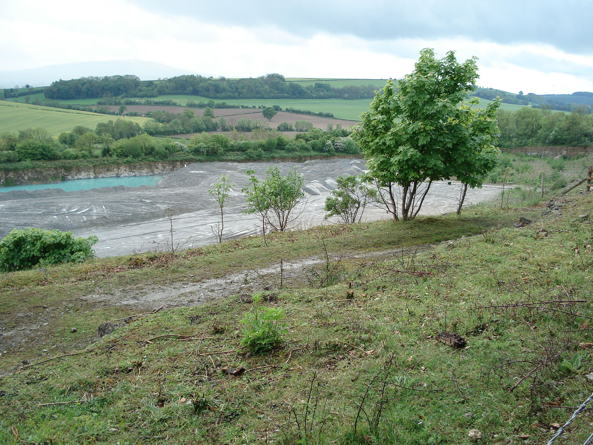 UK Fossil Collecting