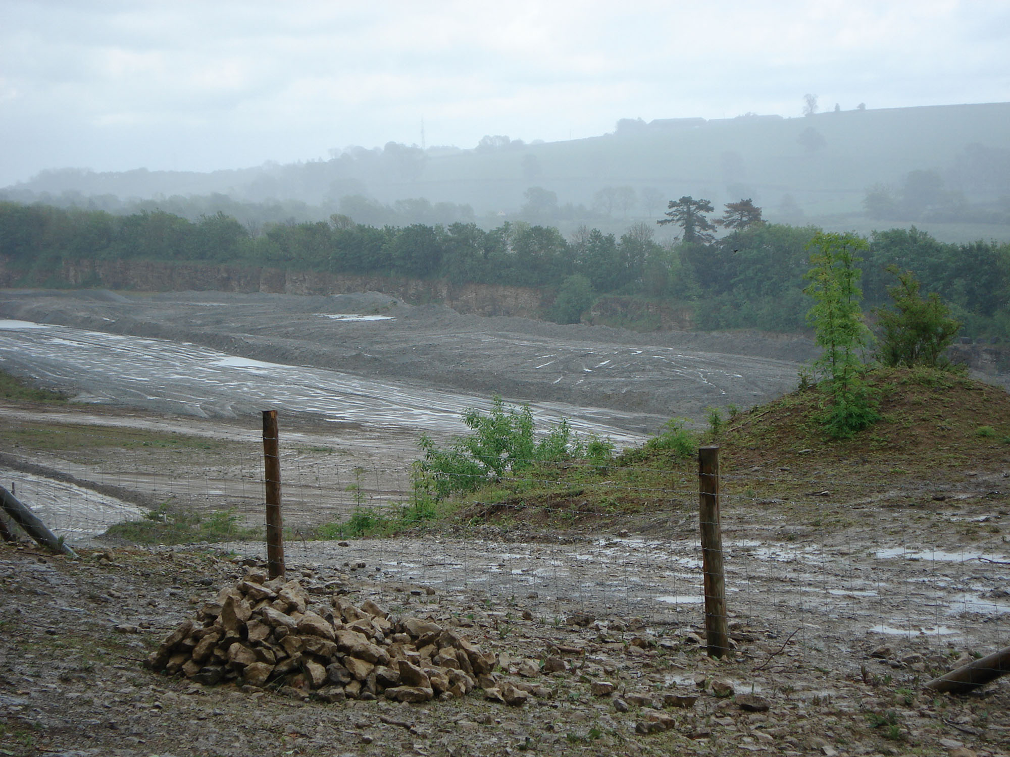 UK Fossil Collecting