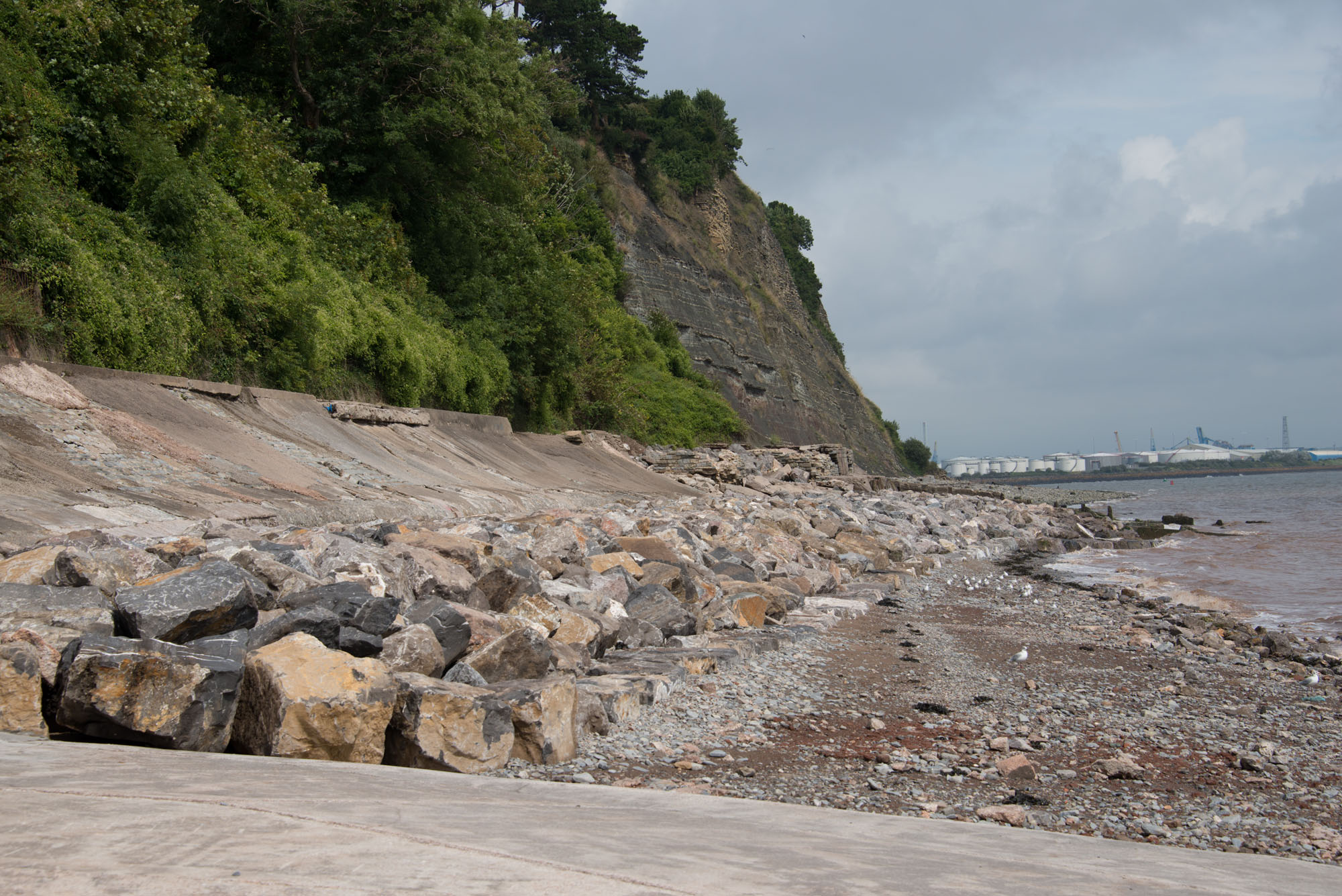 UK Fossil Collecting