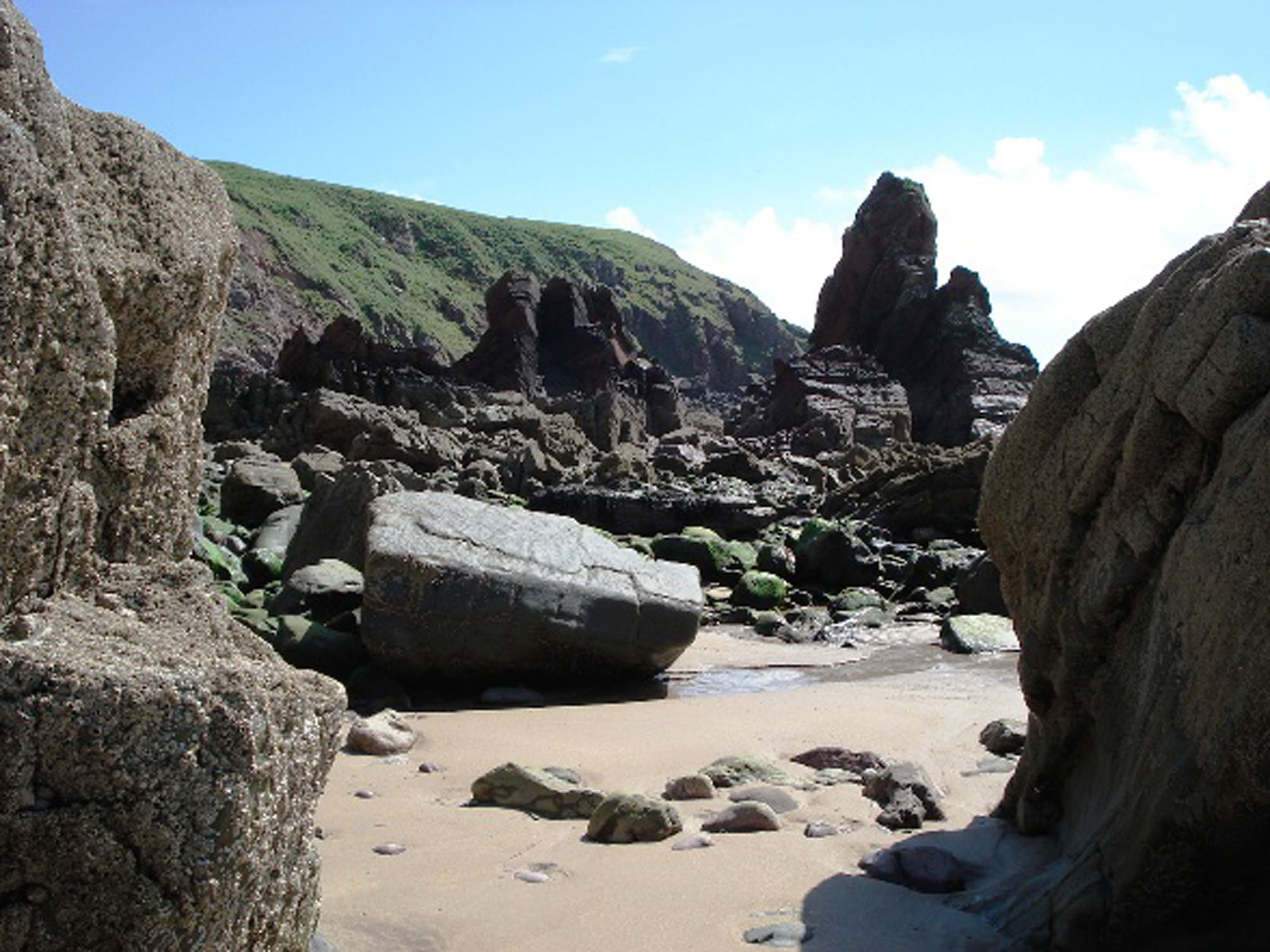 Pretty scene – UK Fossil Collecting