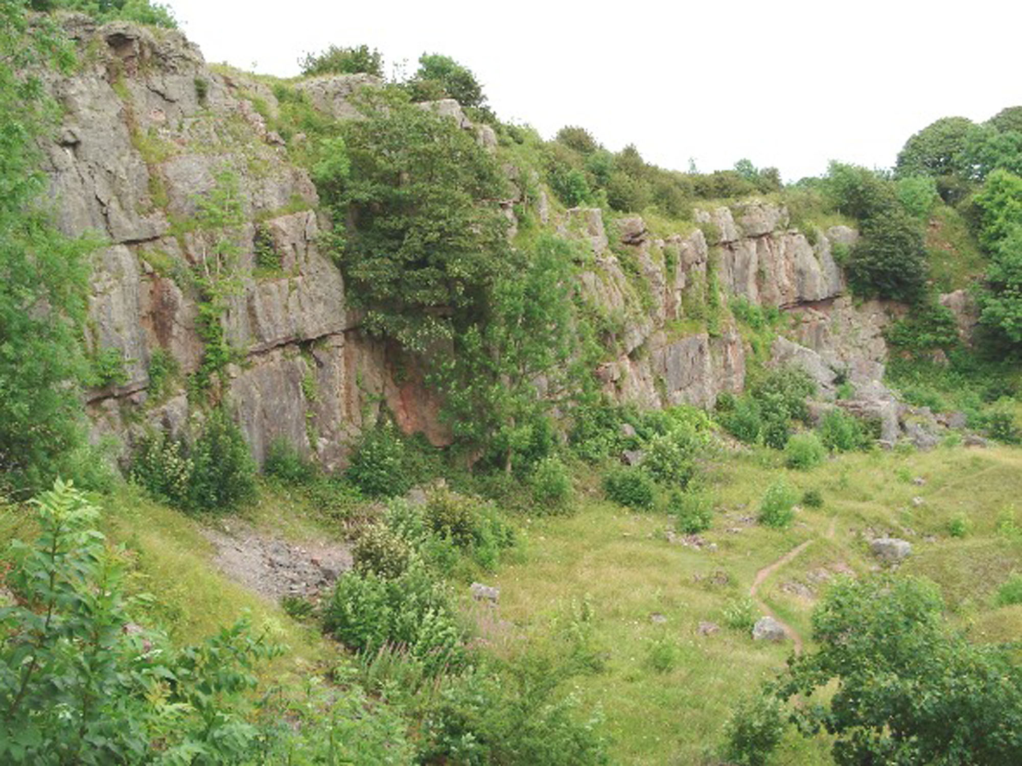 Quarry wall – UK Fossil Collecting