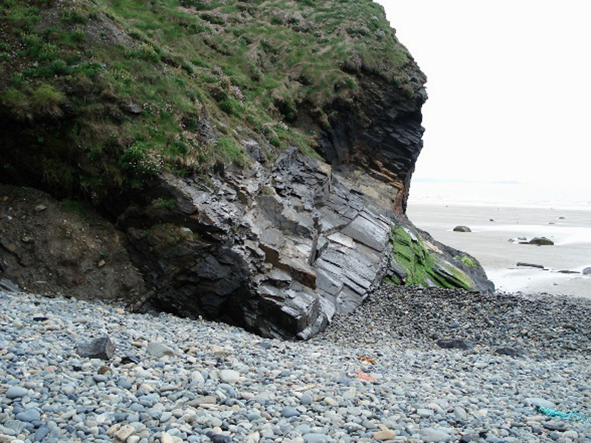 Shale cliff – UK Fossil Collecting