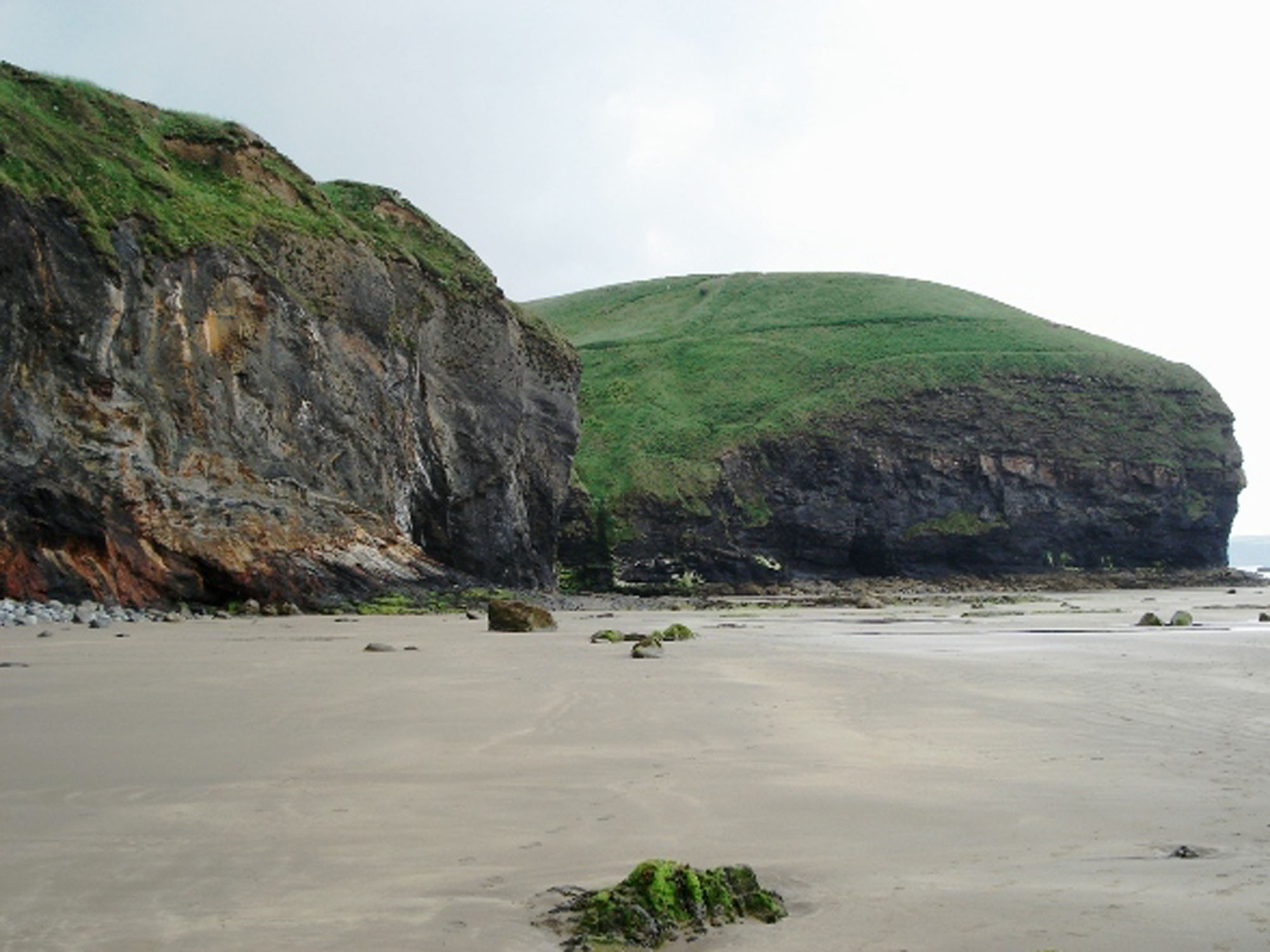 Shale cliff – UK Fossil Collecting