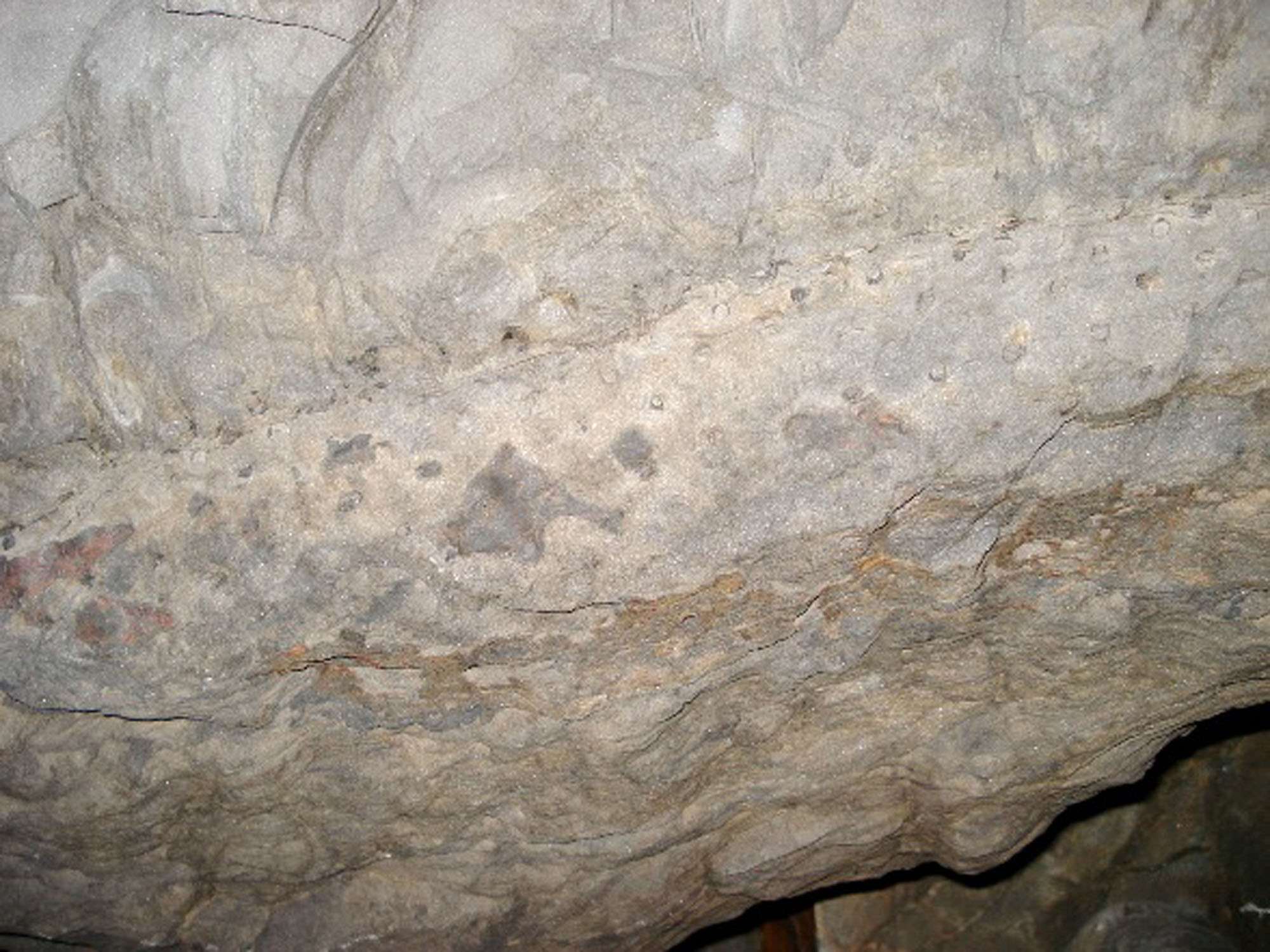 Stigmaria ficoides close-up – UK Fossil Collecting