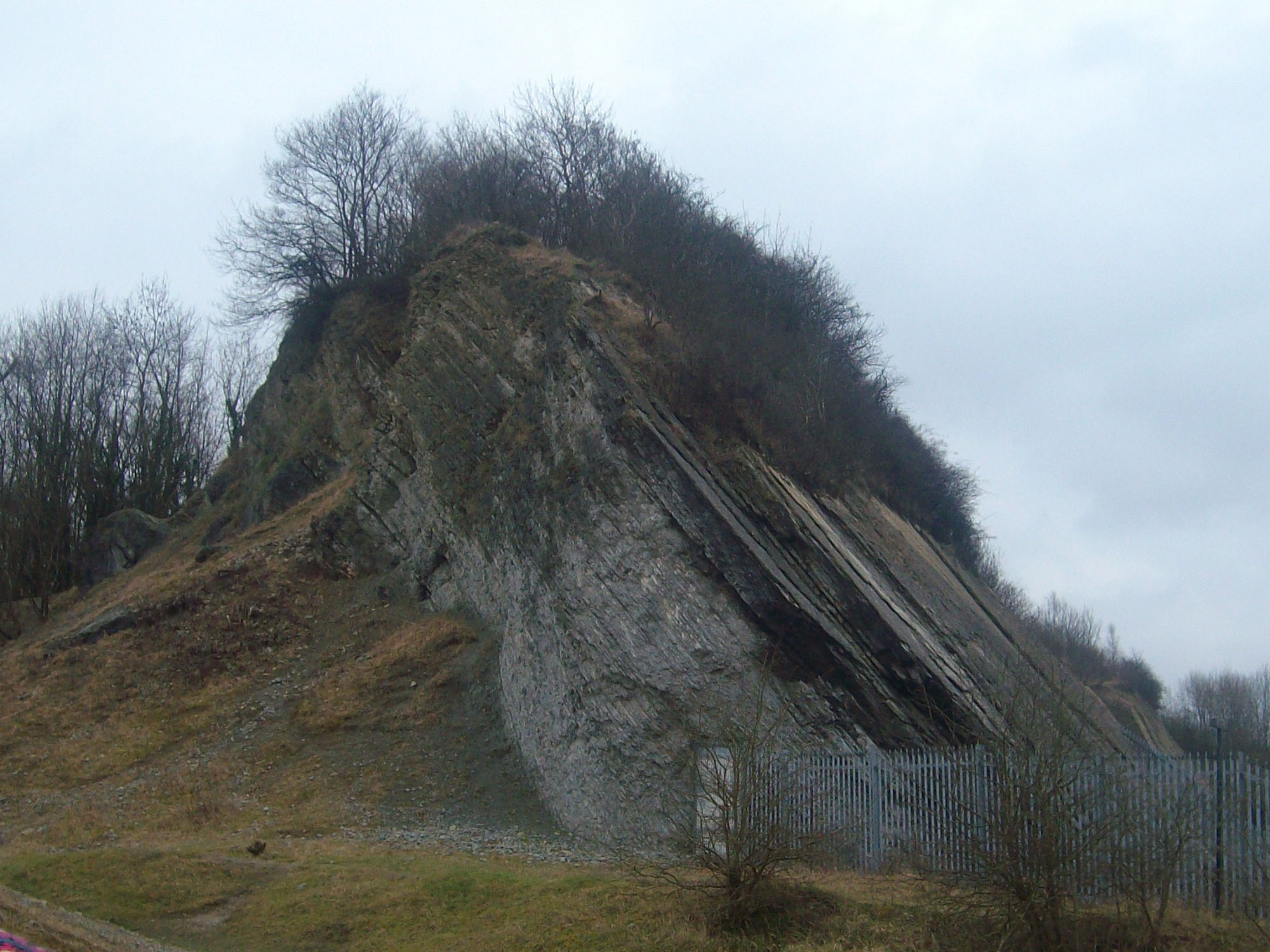Wren’s Nest – UK Fossil Collecting