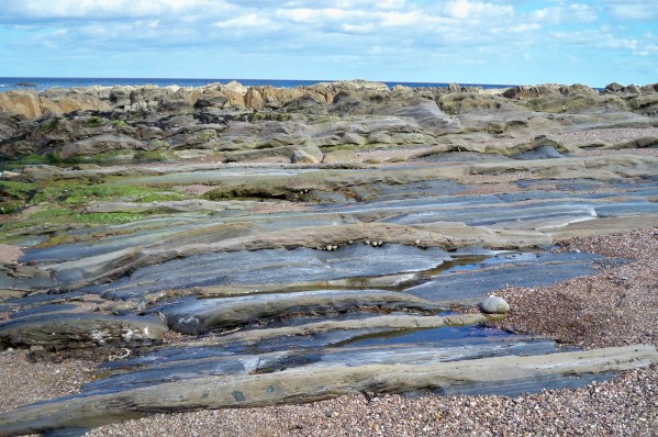 Tilting sandstone, limestone, shale bands – UK Fossil Collecting