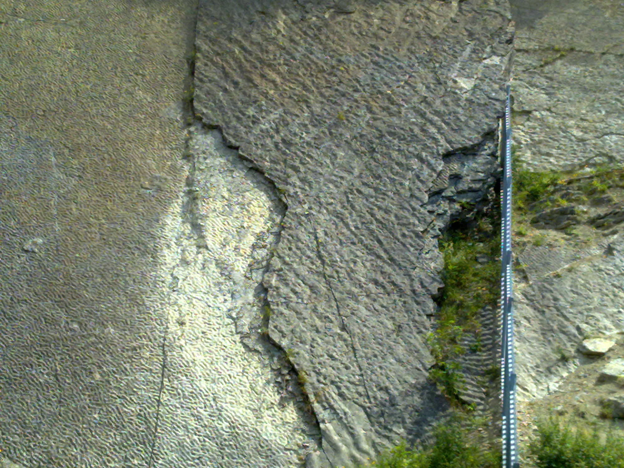 Wren’s Nest – UK Fossil Collecting