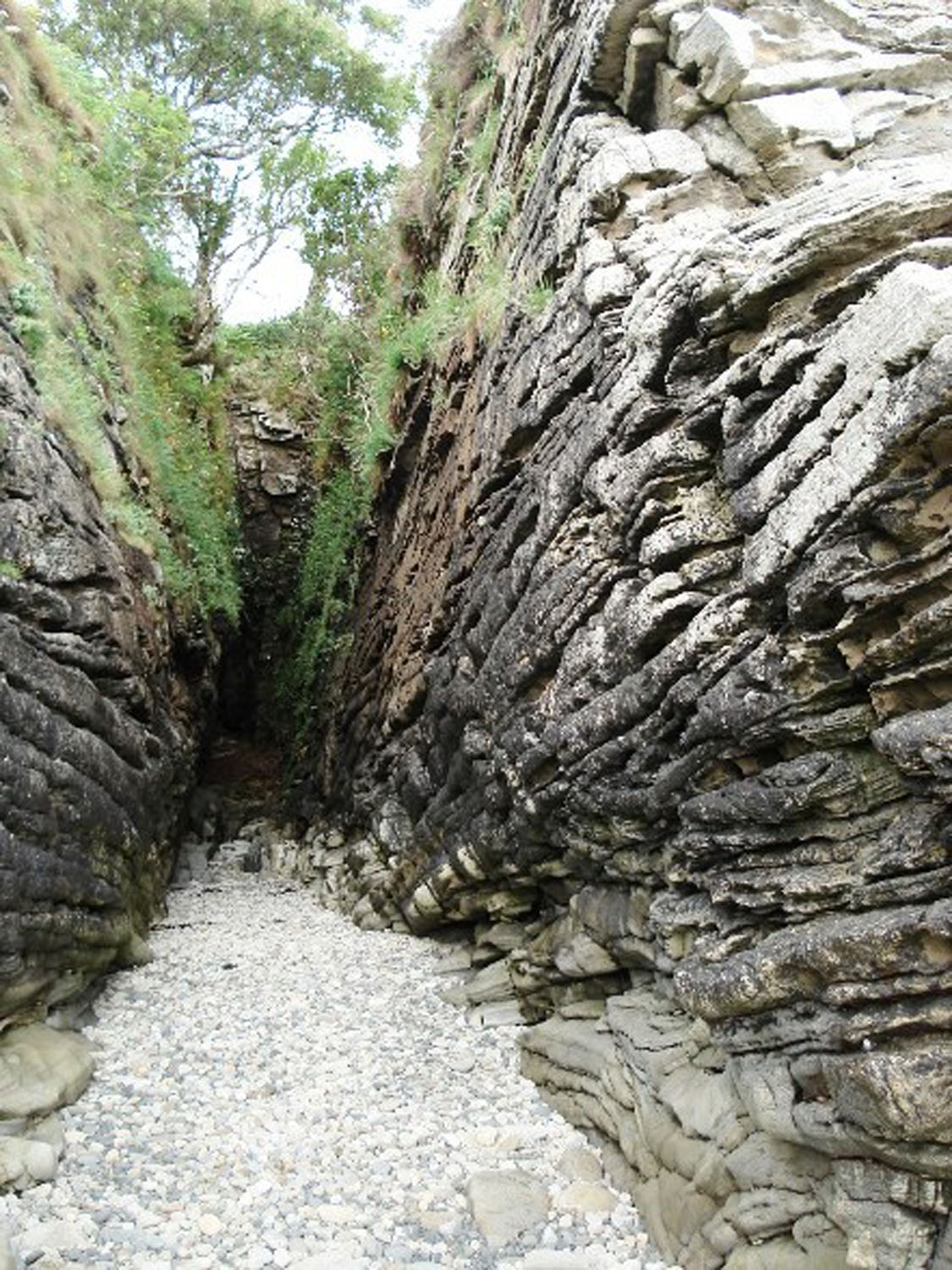 Another gulley – UK Fossil Collecting