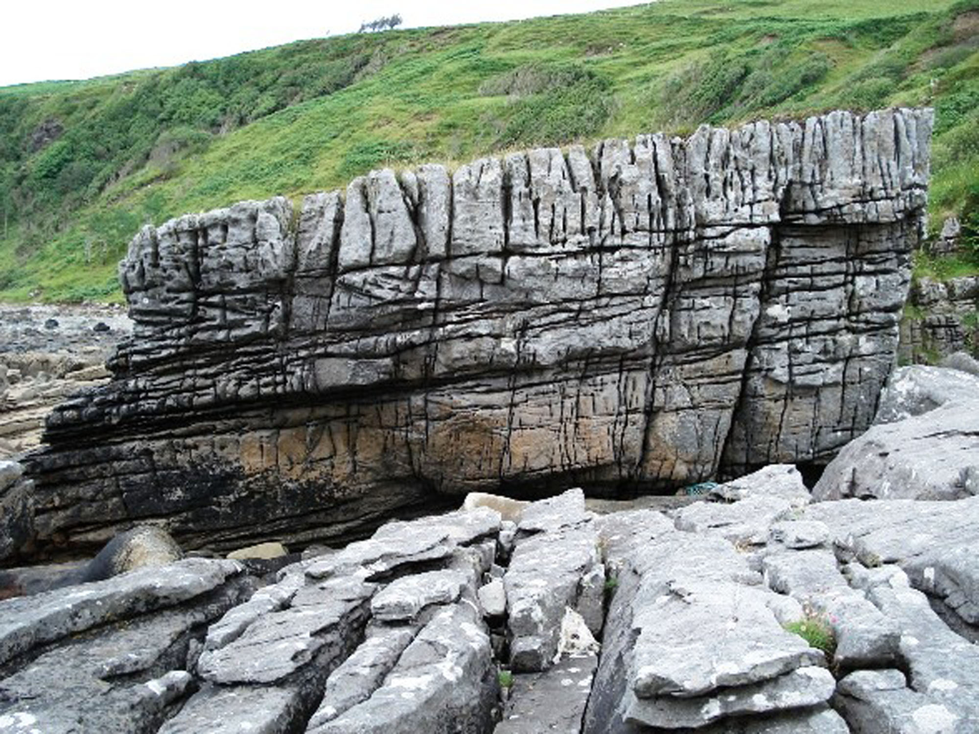 Big gnarled rock – UK Fossil Collecting
