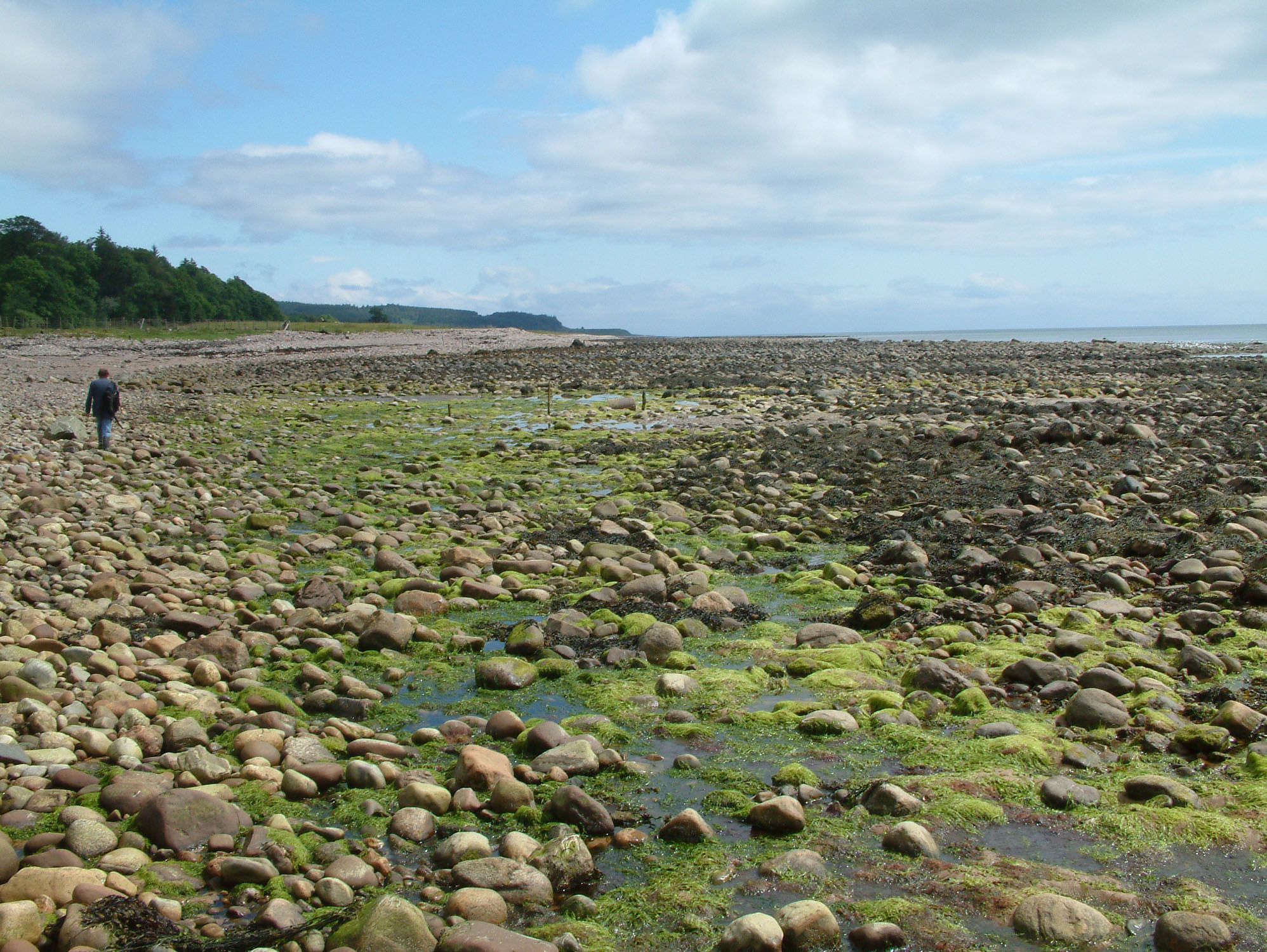 UK Fossil Collecting